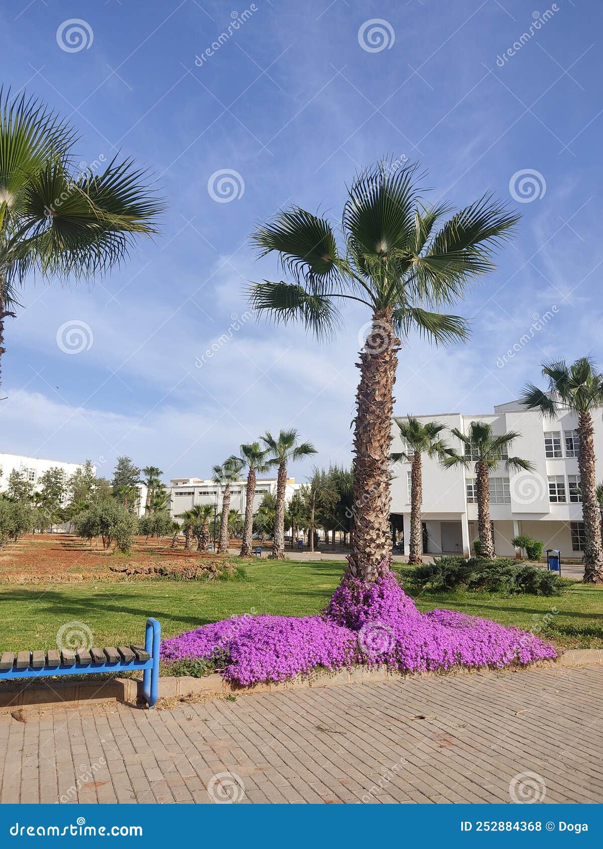 A View from Eastern Mediterranean University Campus Cyprus Stock Photo ...