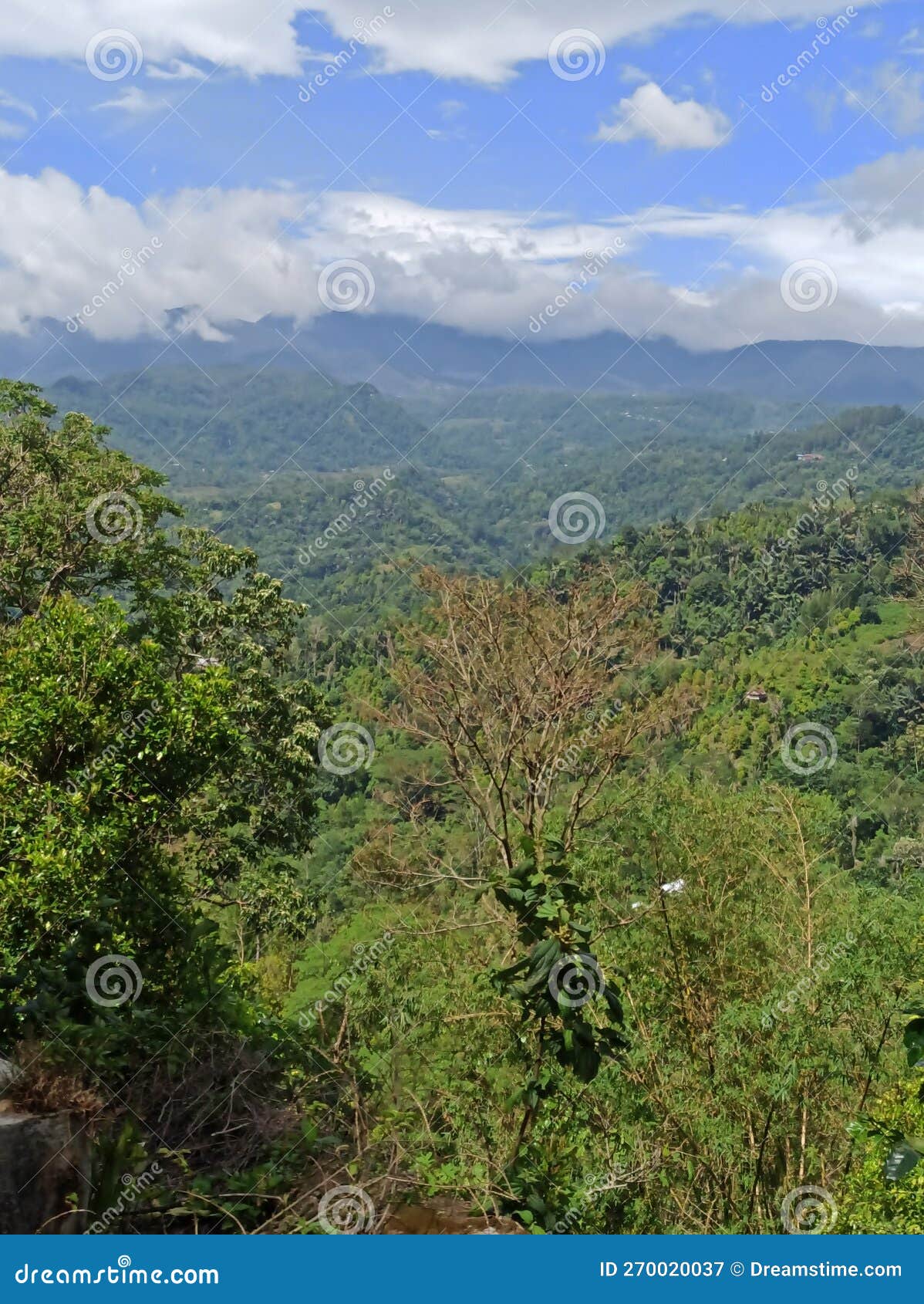 View on the Edge of the Mountain with Panoramic Views of Nature Stock ...