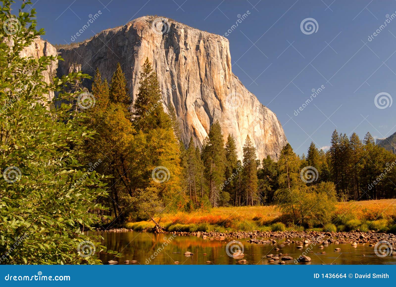View of El Capitan from Merced River with Autumn Colors Stock Photo ...