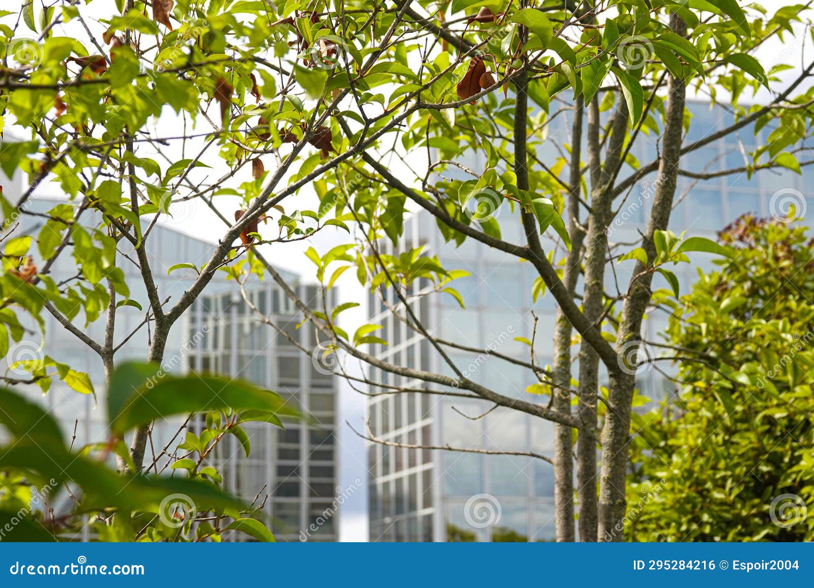 View of Elements of Modern Office Buildings through the Foliage of ...