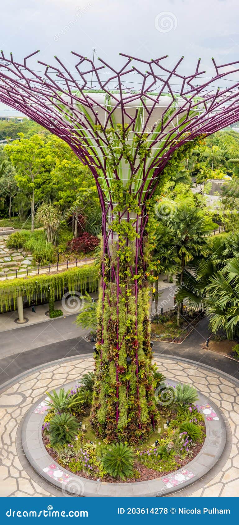 A View from an Elevated Walkway of a Super Tree in the Gardens by the ...