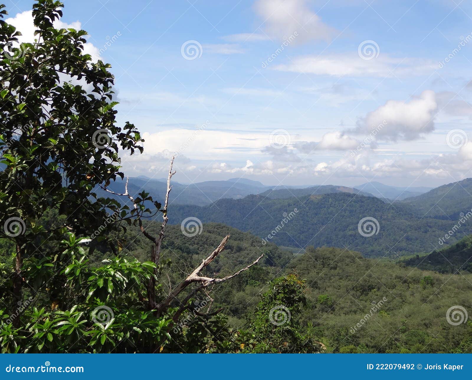 View from Ella Rock, Sri Lanka Stock Photo - Image of nature, spring ...