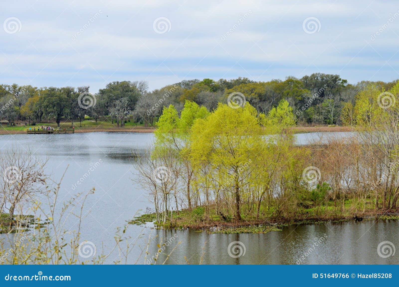 View of Elm Lake stock photo. Image of lake, trees, view - 51649766