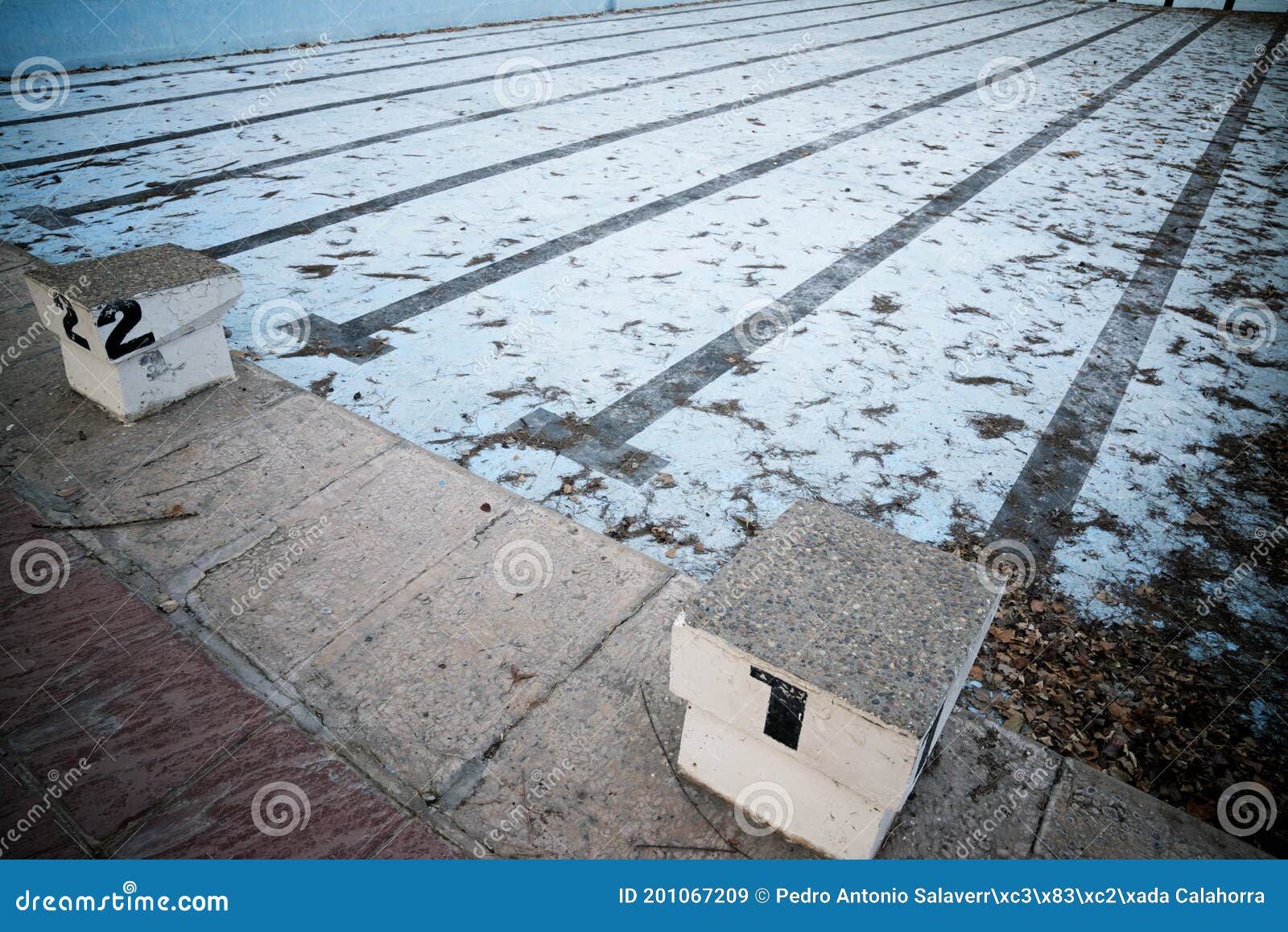 Empty swimming pool stock image. Image of cleaning, repair - 201067209