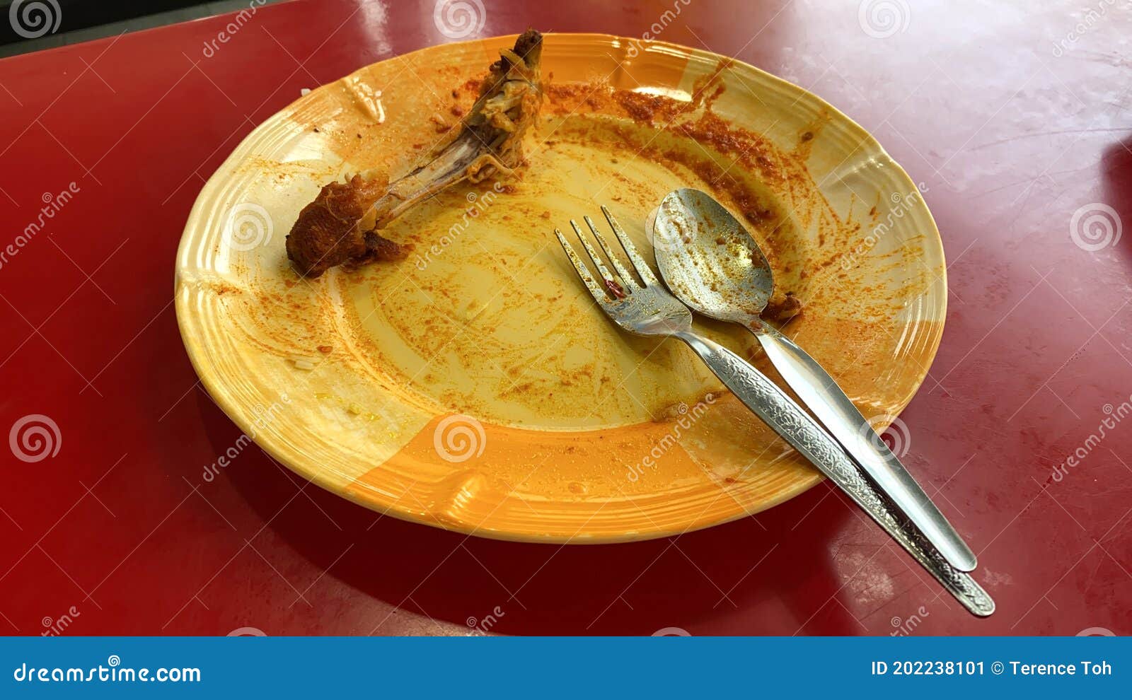 View of an Empty Food Plate with Leftovers. only Left are a Drumstick ...
