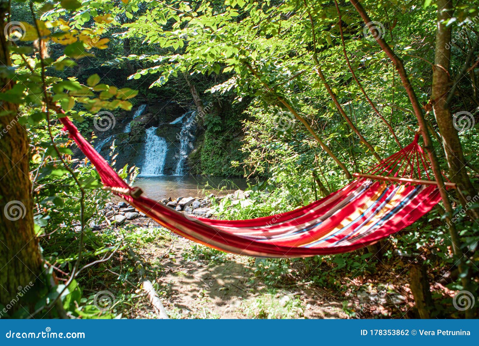 View of Empty Hammock between Trees Waterfall on Background Stock Photo ...