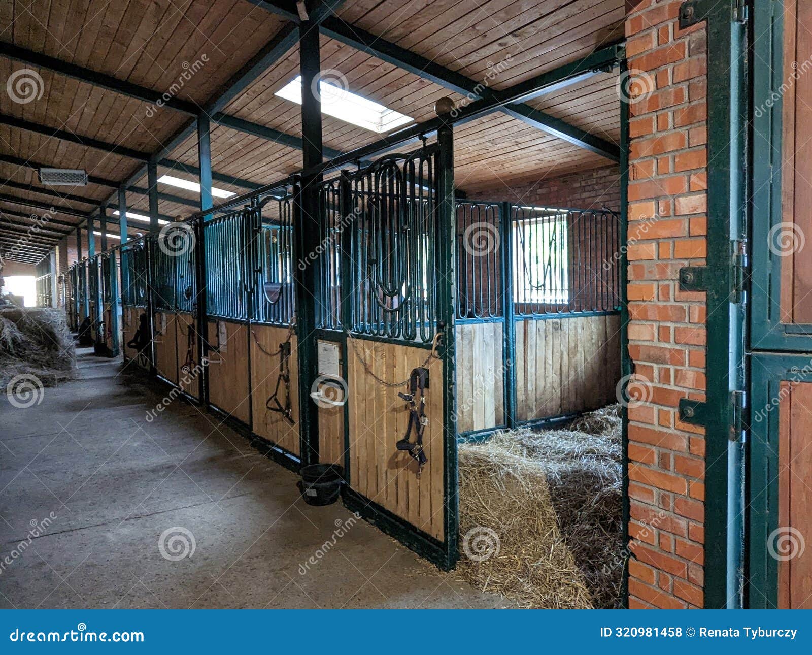 View of Empty Inside Barn or a Stable with Wooden Roof and Doors Stock ...