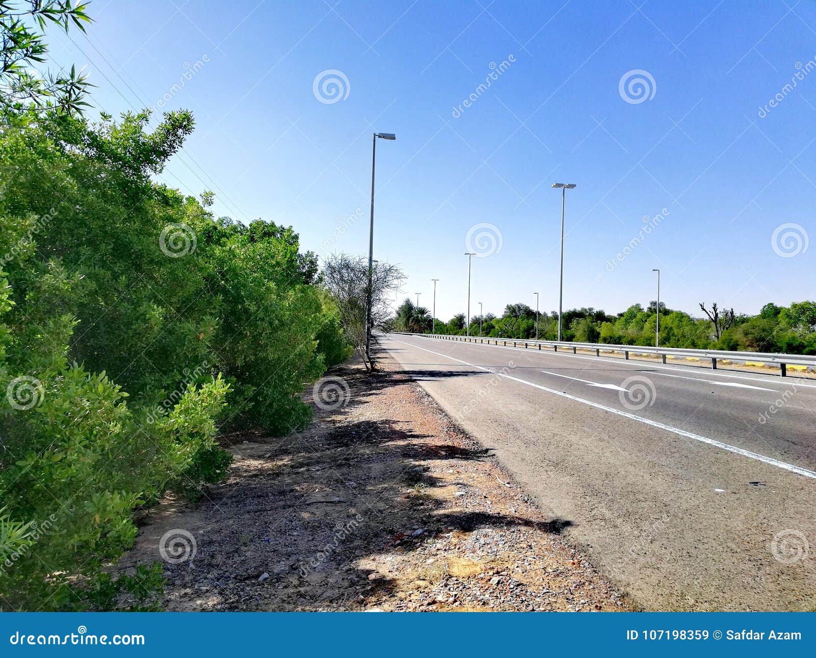 View of Empty Road with Green Trees Stock Image - Image of clear ...