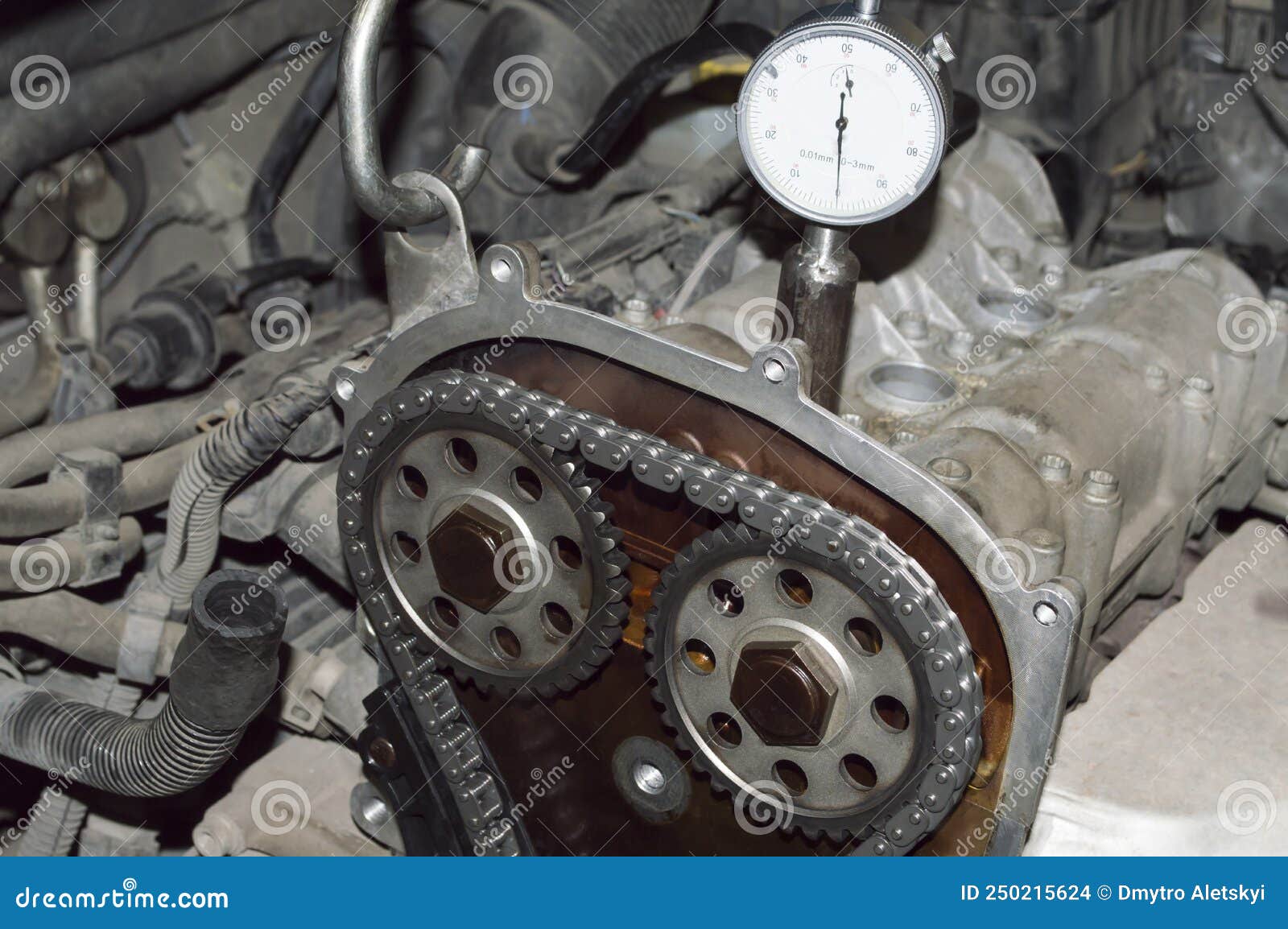 View of an Engine with a Multi-row Timing Chain when Checking it with ...