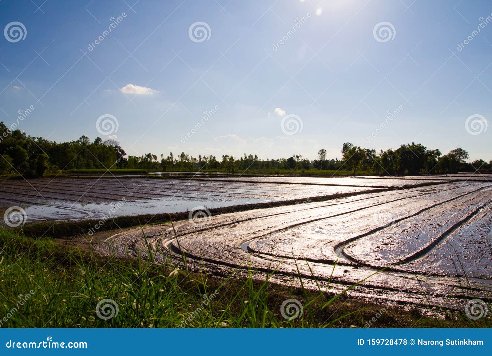 .View of the evening field stock photo. Image of landscape - 159728478
