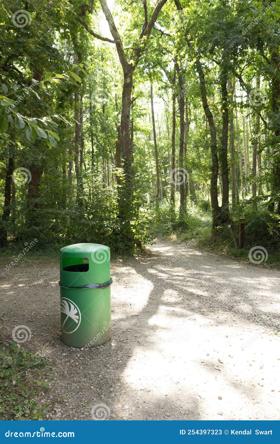 Forest Bin stock image. Image of sunlight, devon, nature - 254397323