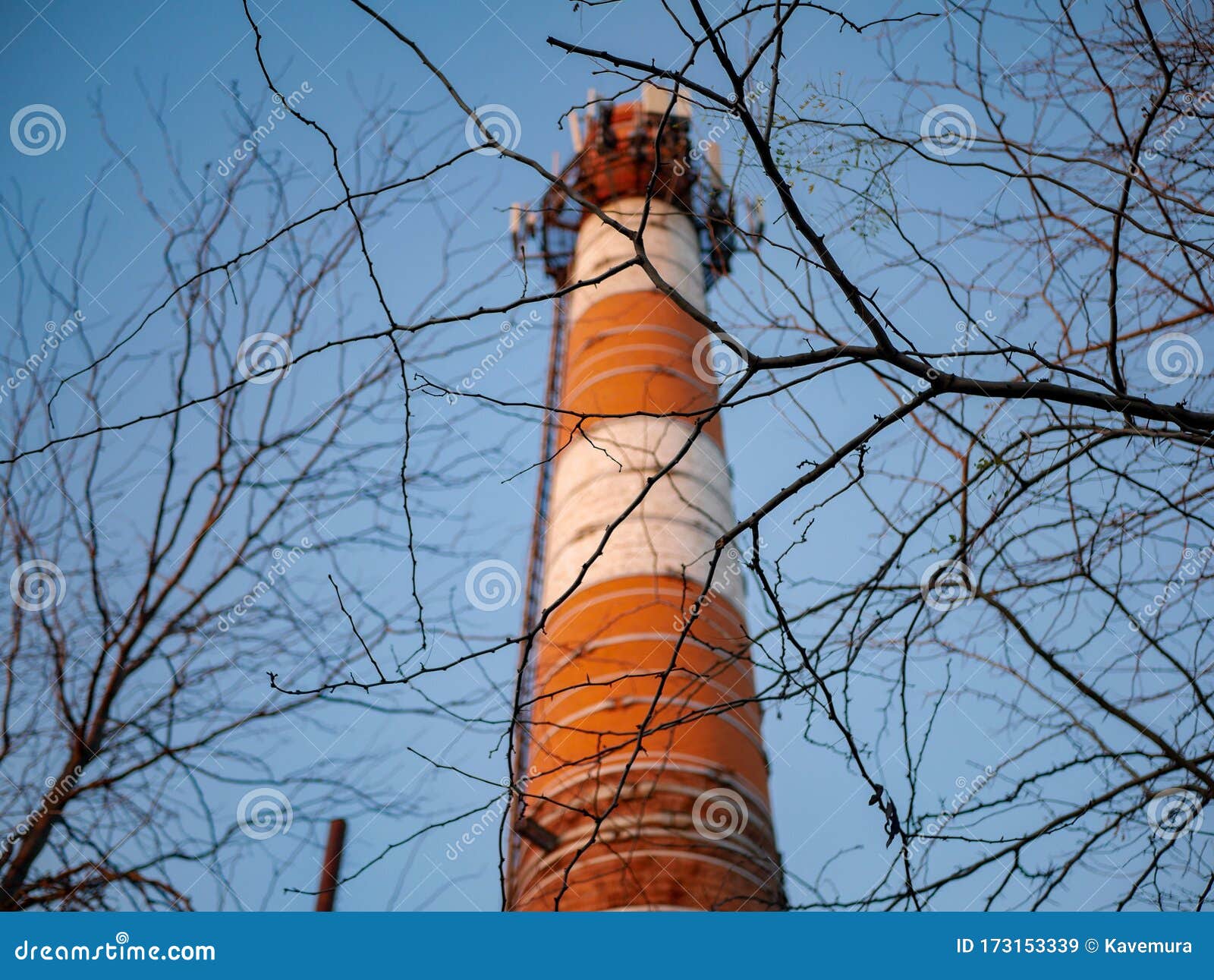 View of Factory Pipe through the Tree Stock Image - Image of pipe, bird ...