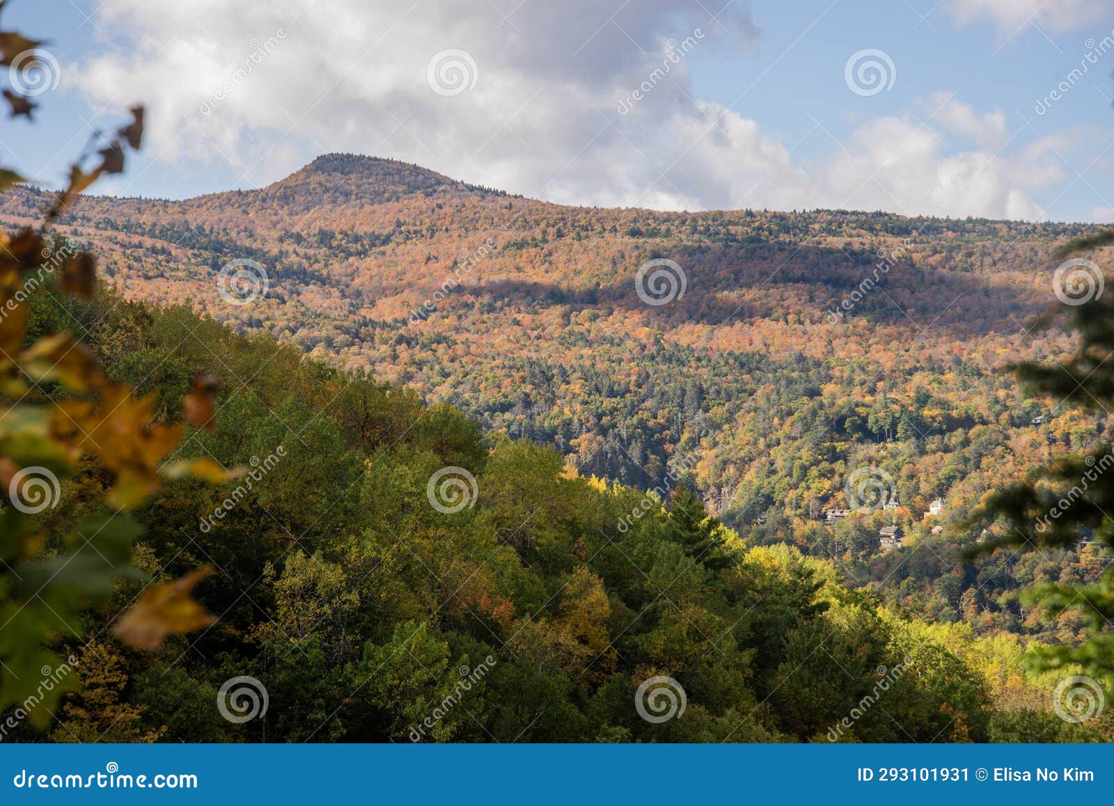 Fall Has Arrived in the Mountains Stock Image - Image of nature, leaf ...