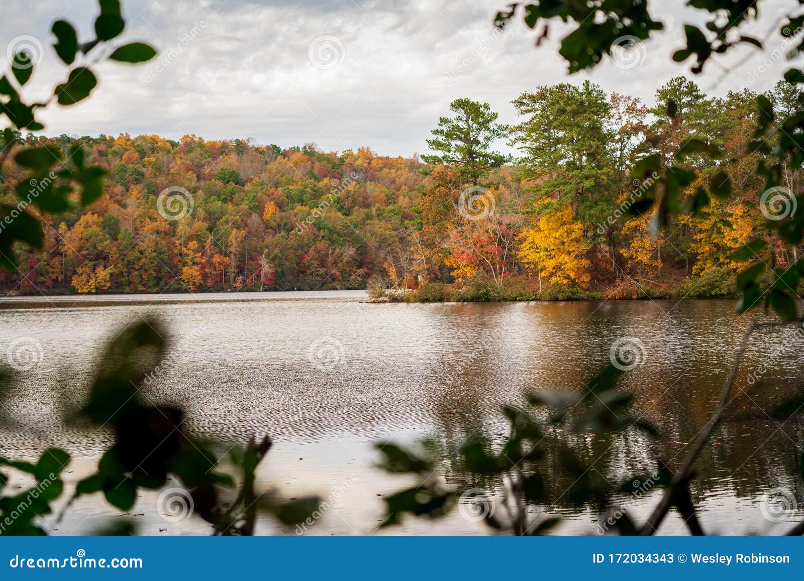 View of Fall Leaves on Lake 03 Stock Image - Image of beautiful, summer ...