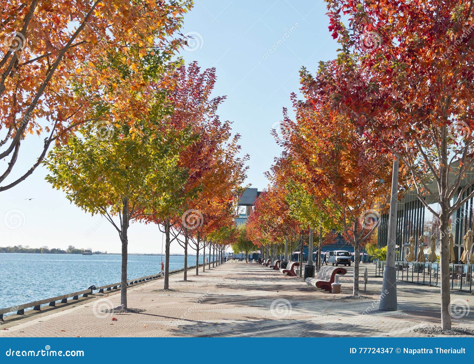 View fall season in city stock image. Image of building - 77724347