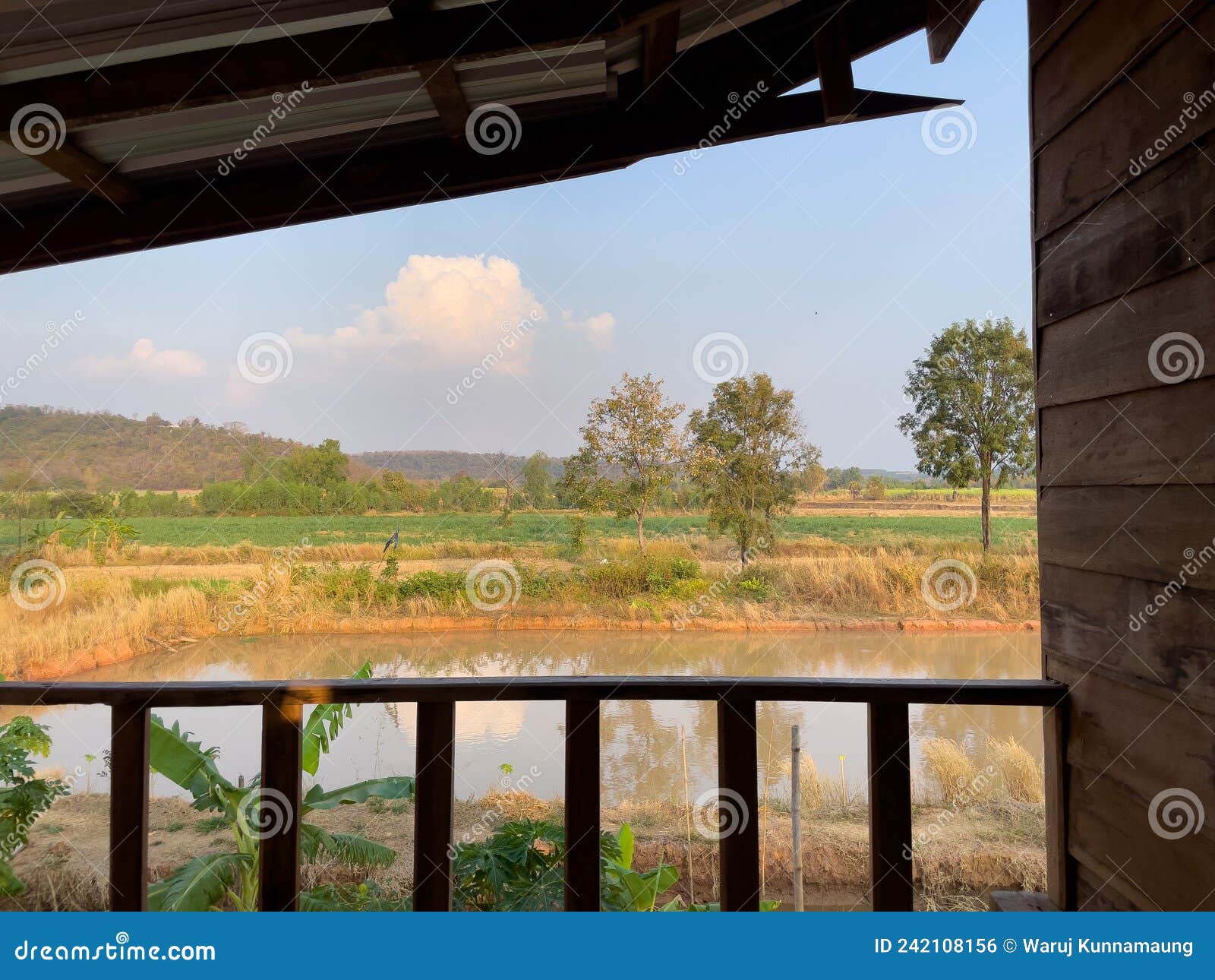 View of the Farm from the Balcony. Stock Photo - Image of water ...