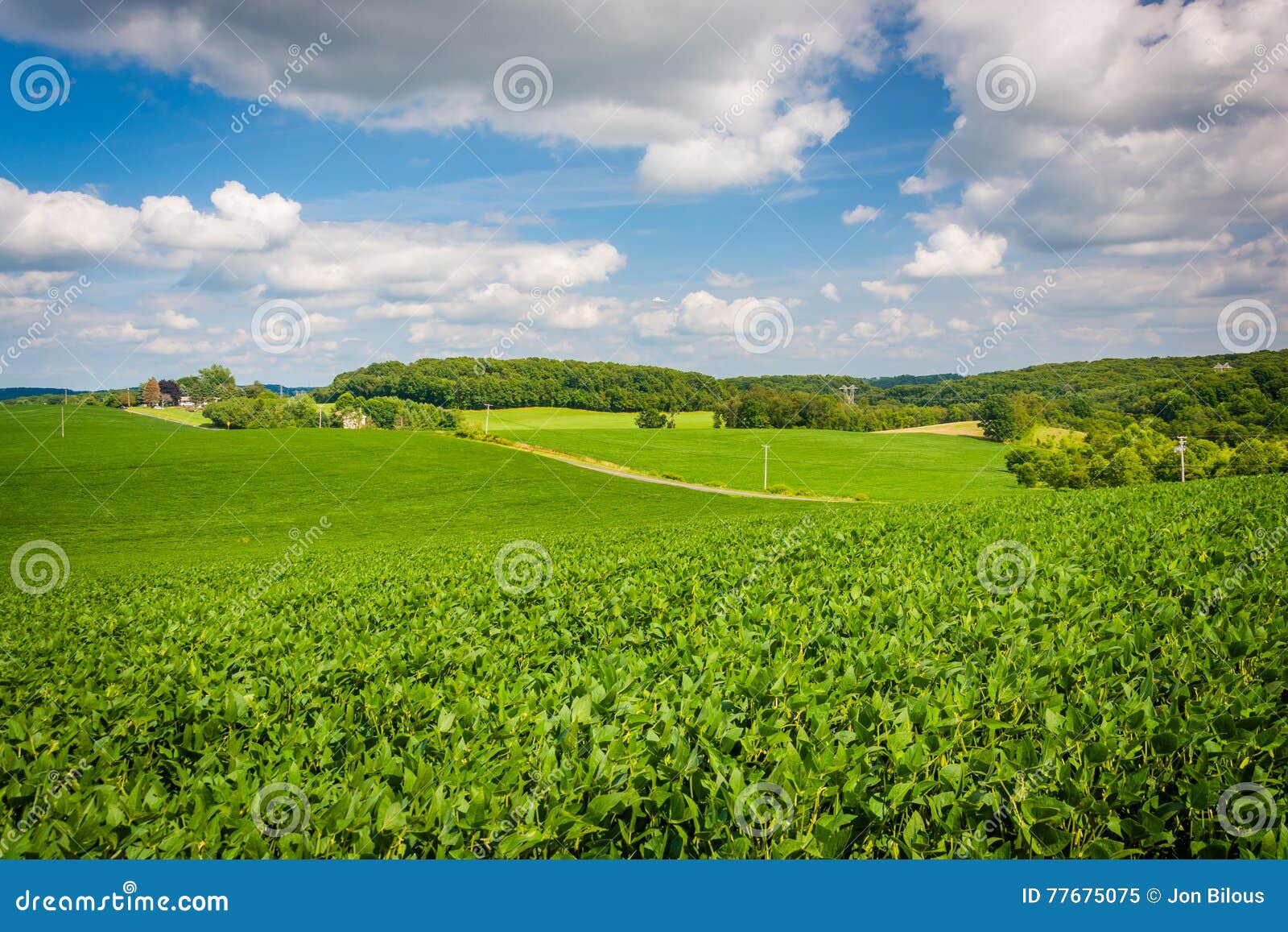 View of Farm Fields in Rural Baltimore County, Maryland. Stock Image ...