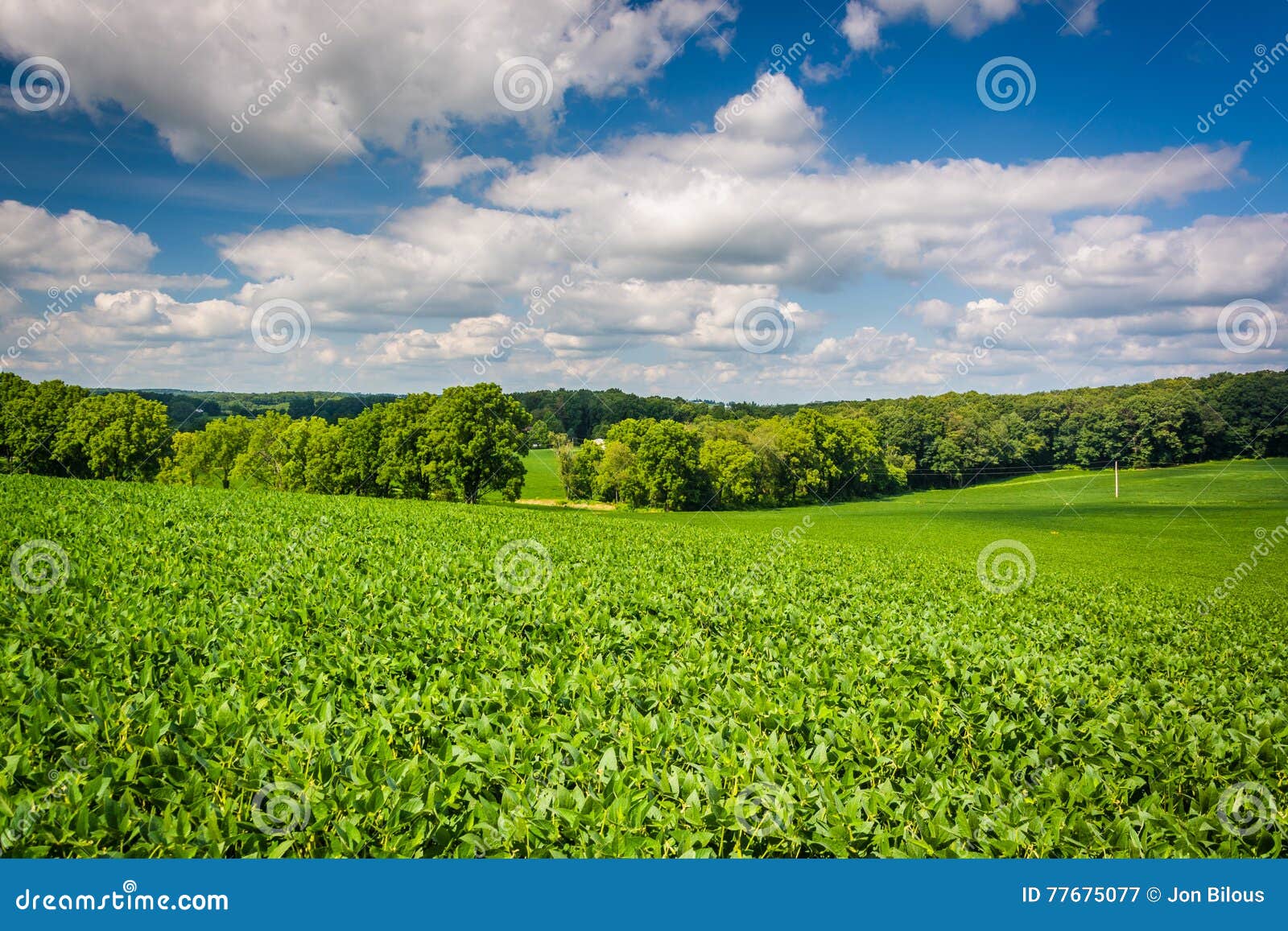 View of Farm Fields in Rural Baltimore County, Maryland. Stock Image ...