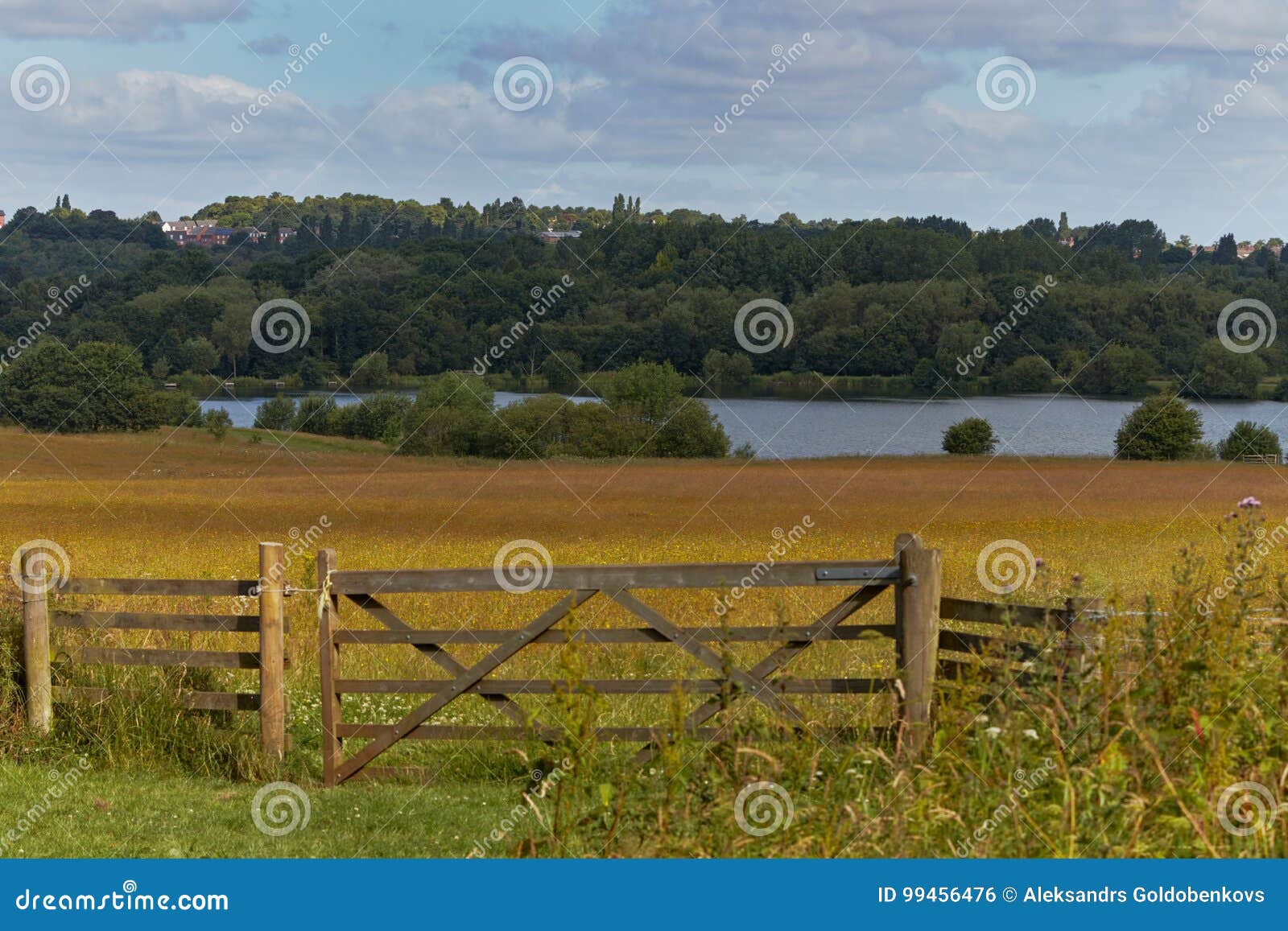 View of farm gate. stock photo. Image of lake, nature - 99456476