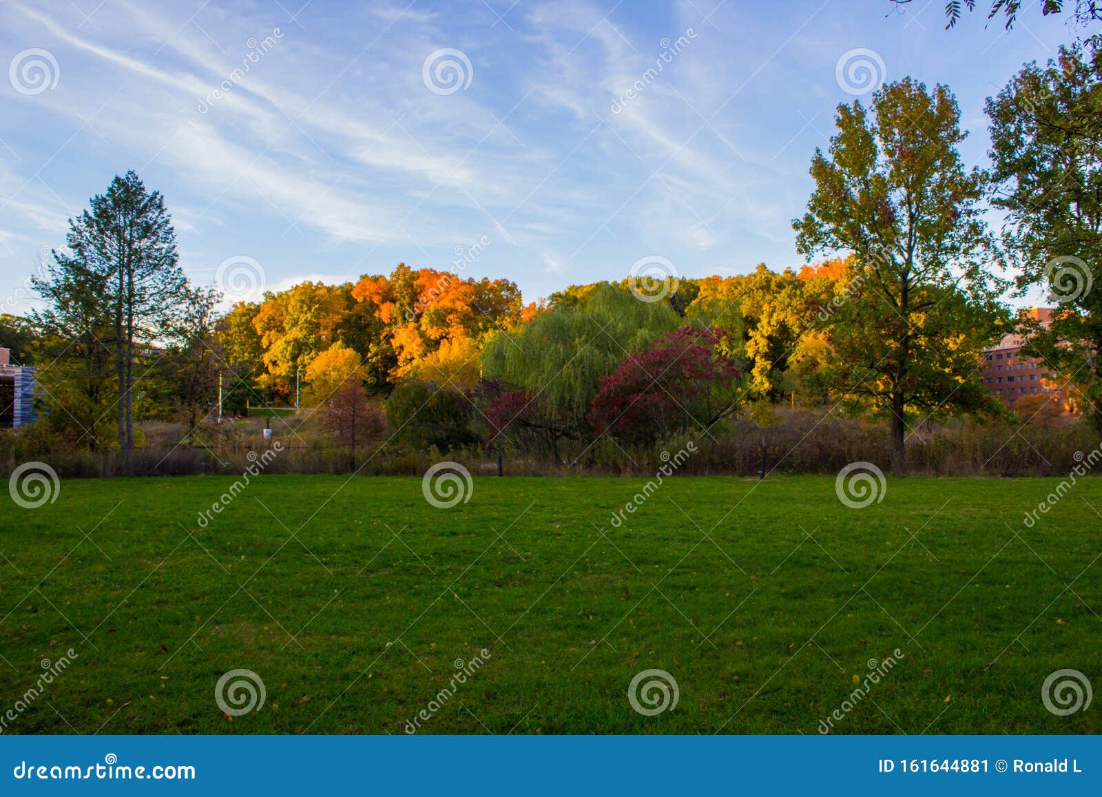 View of Farm with Grass and Trees in Fall Stock Image - Image of city ...