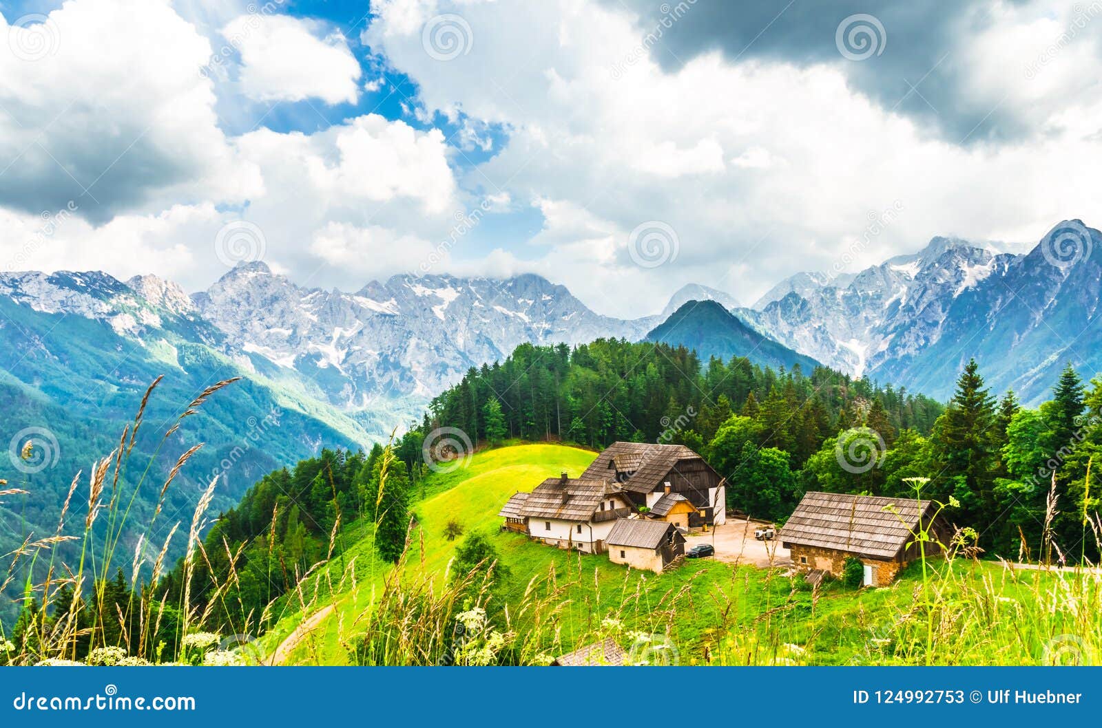 View on Farm in the Slovenian Alps by Logar Valley Stock Image - Image ...