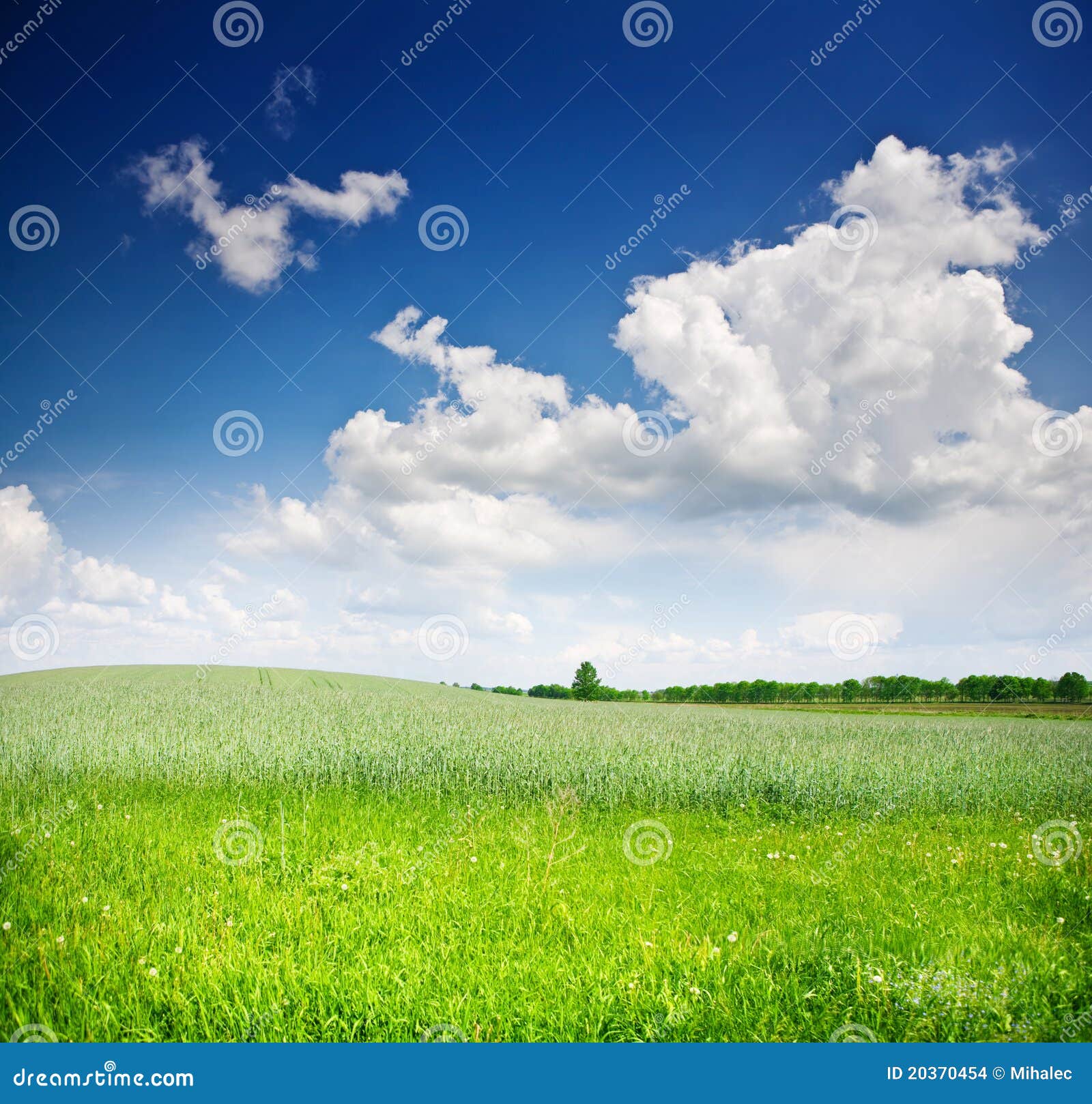 View on the field stock photo. Image of lawn, idyllic - 20370454