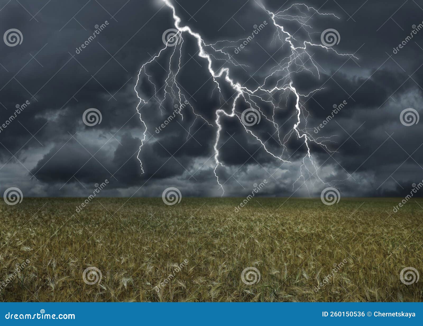 View of Field and Cloudy Sky with Lightning. Thunderstorm Stock Photo ...