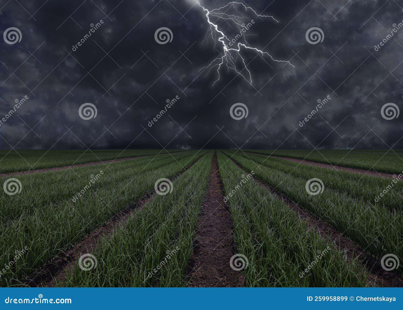 View of Field and Cloudy Sky with Lightning. Thunderstorm Stock Image ...