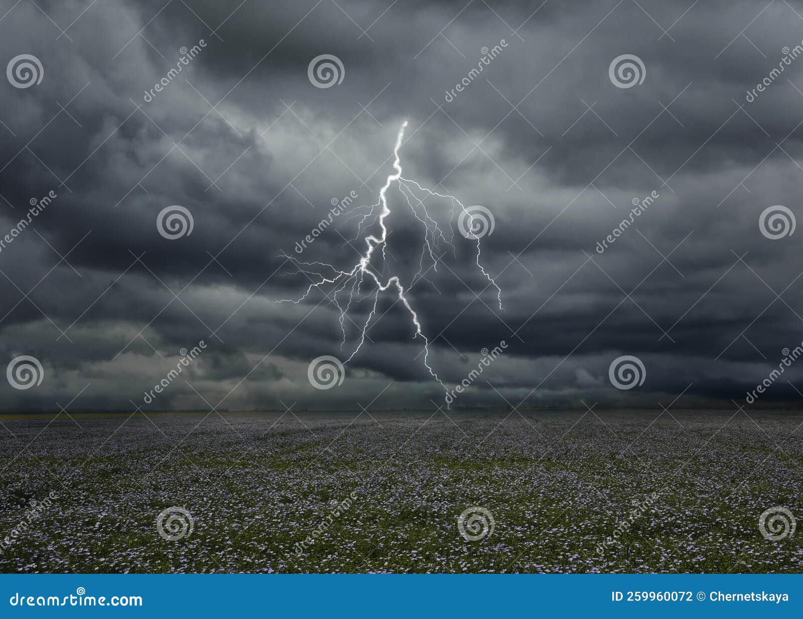 View of Field and Cloudy Sky with Lightning. Thunderstorm Stock Photo ...