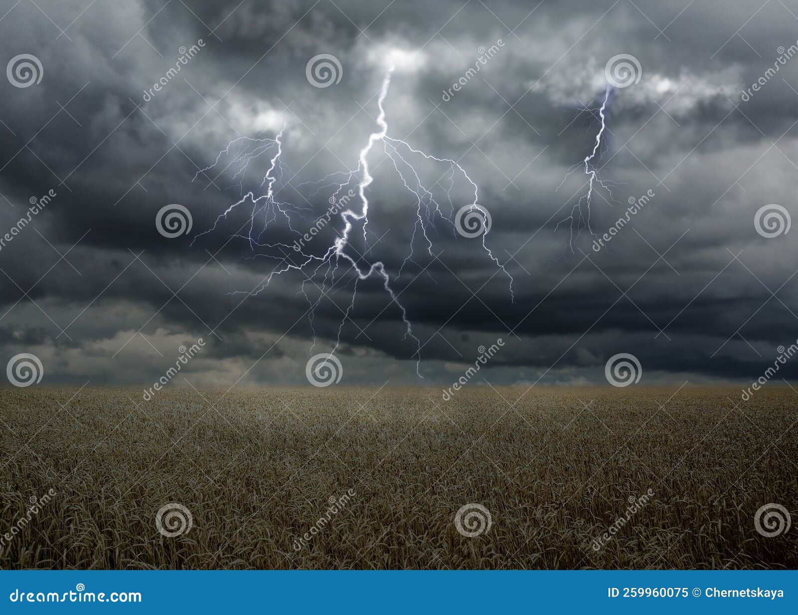 View of Field and Cloudy Sky with Lightning. Thunderstorm Stock Image ...