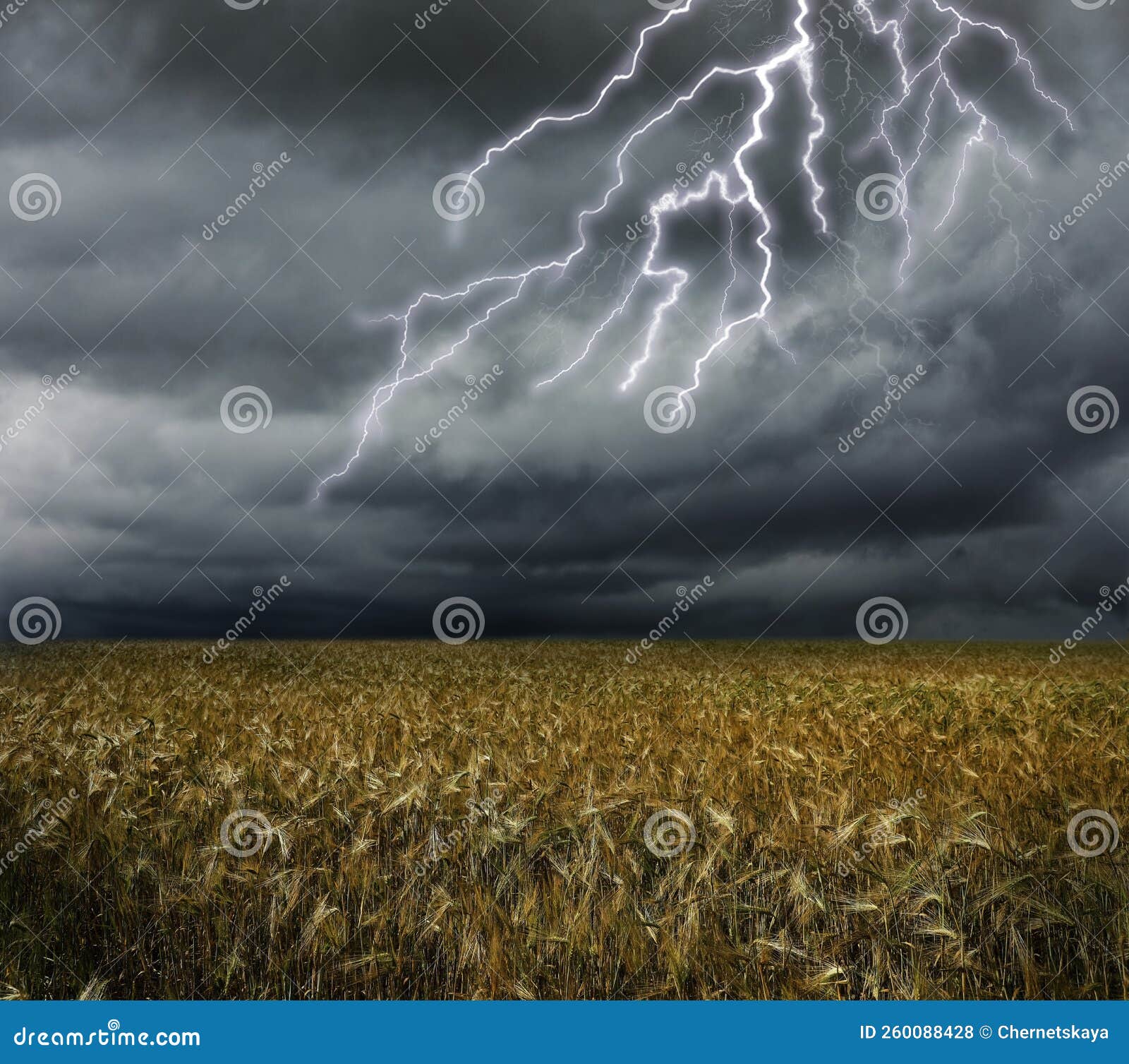 View of Field and Cloudy Sky with Lightning. Thunderstorm Stock Photo ...
