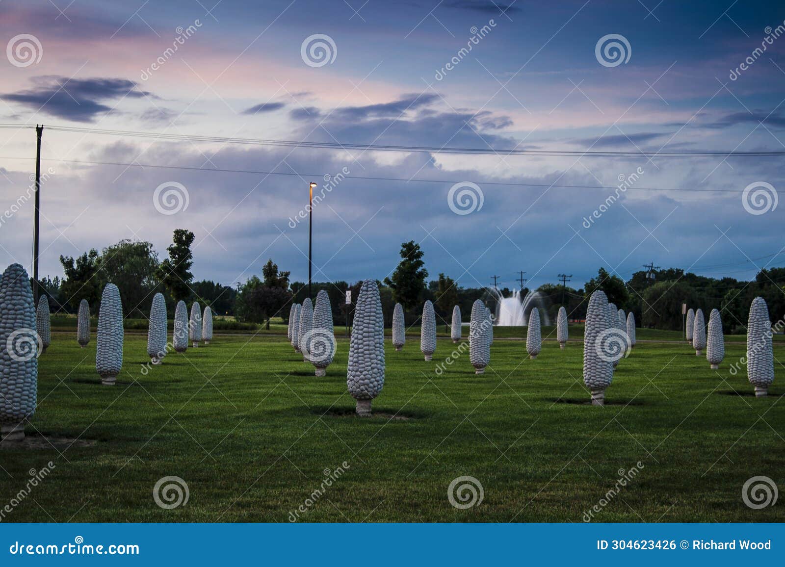 View of the Field of Corn at the Sam and Eulalia Frantz Park, Dublin ...