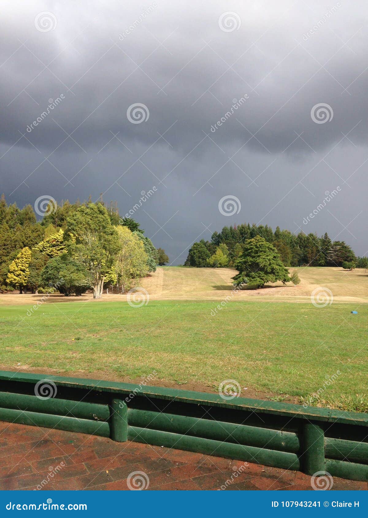 View of Field with Grey Sky Stock Image - Image of golf, clouds: 107943241