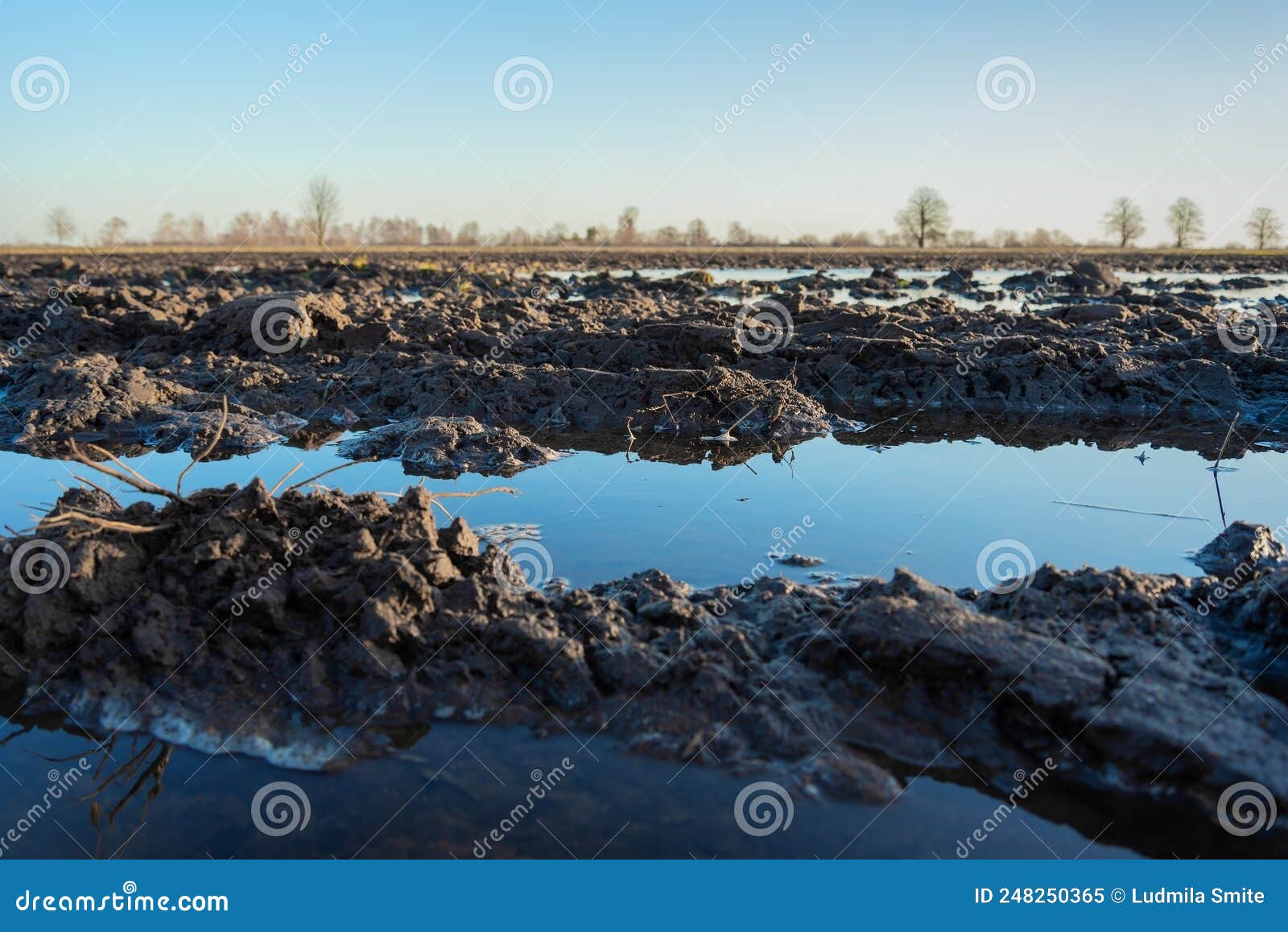View of the field in flood stock image. Image of land - 248250365