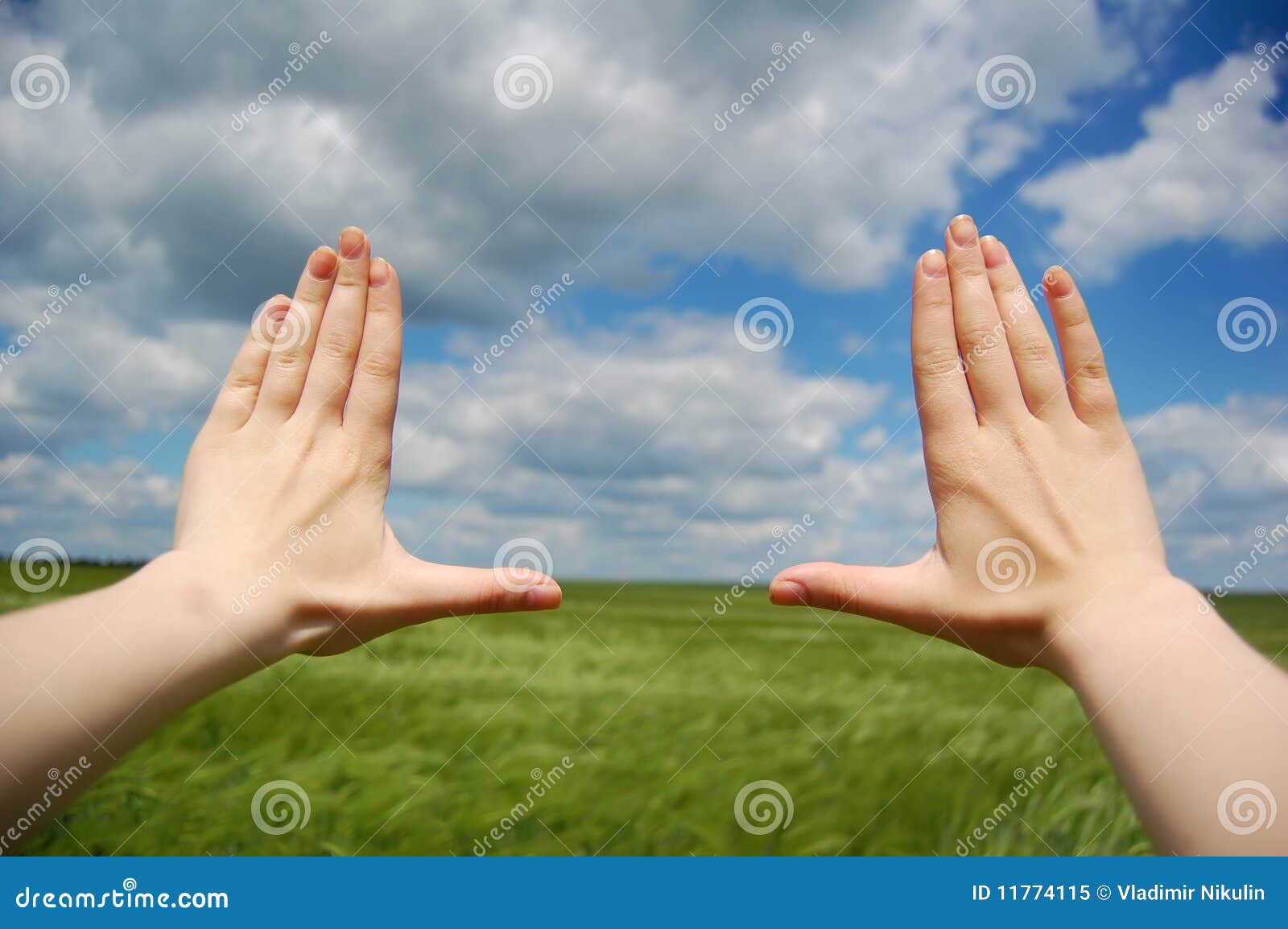 View at Field through Hand Frame. Stock Image - Image of farmer ...