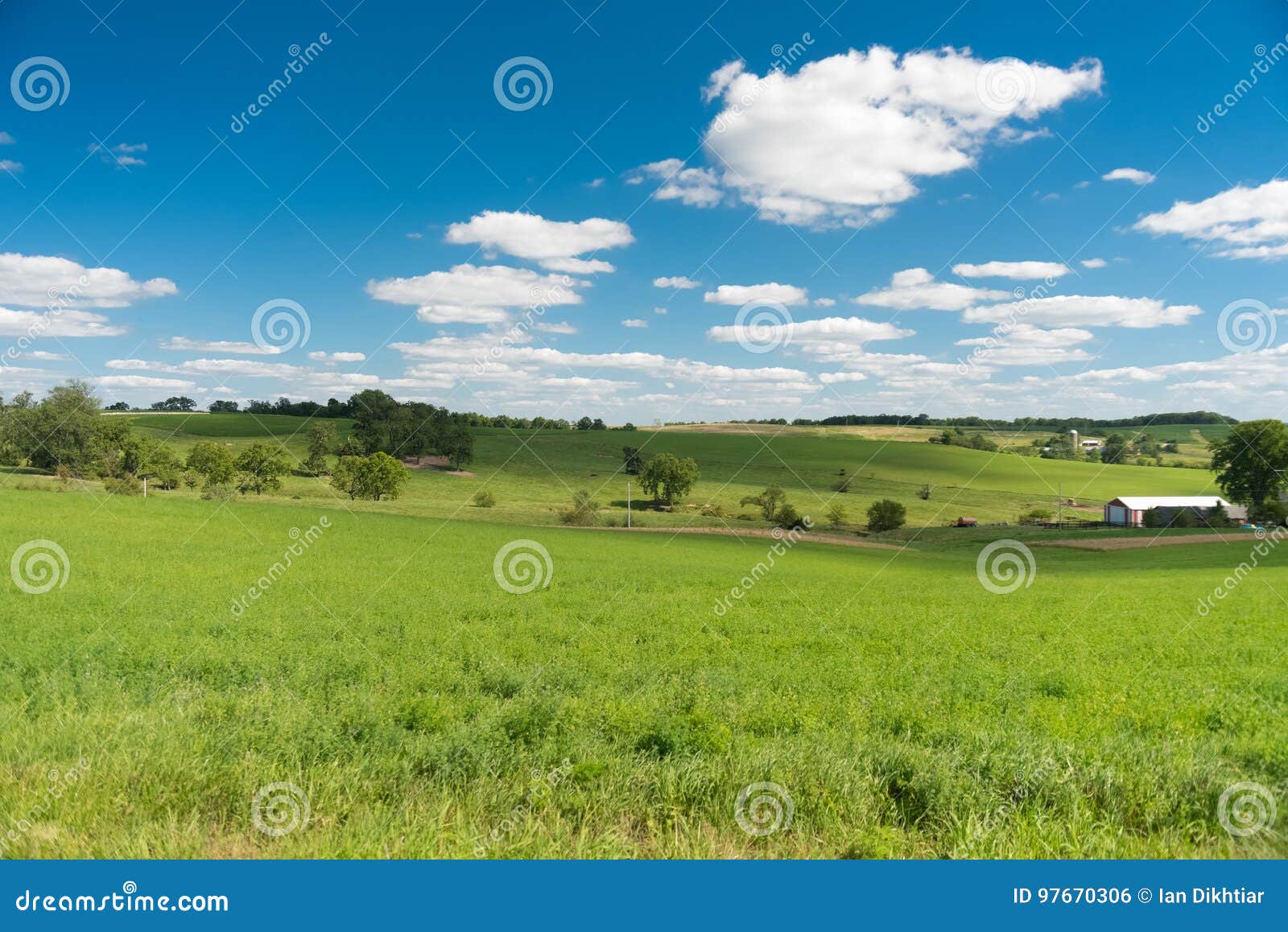 View of a Field in Illinois Country Side Stock Photo - Image of asphalt ...