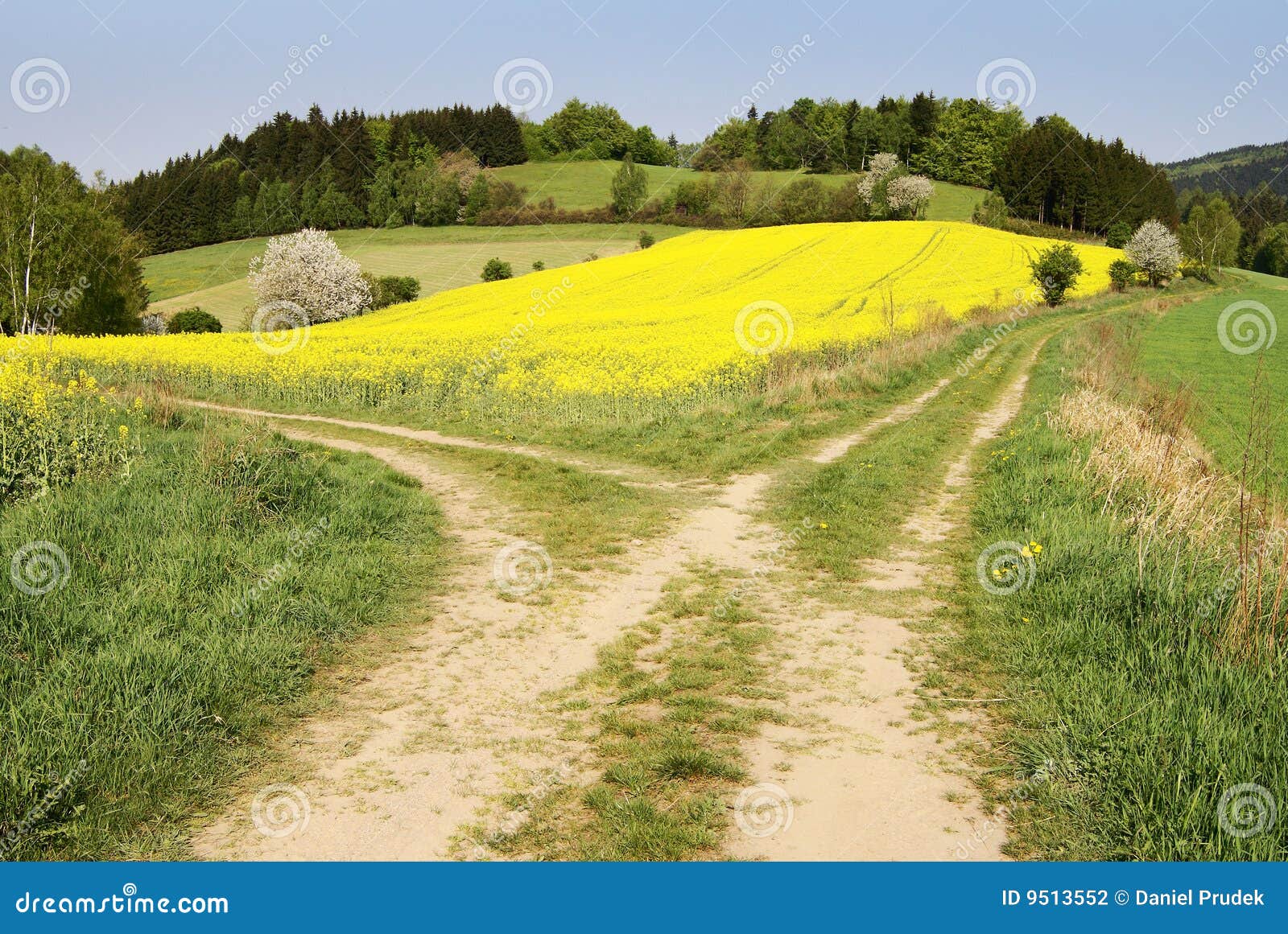 View on field path stock photo. Image of flowery, beauty - 9513552