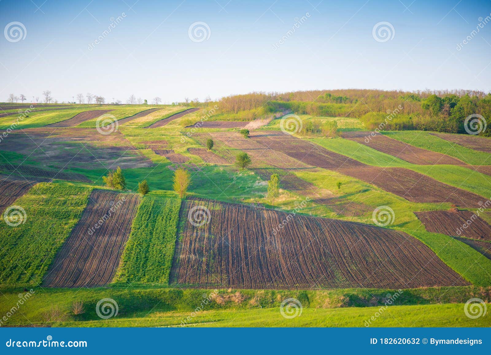 View of the Fields and Agricultural Parcel. Agricultural Plots Stock ...
