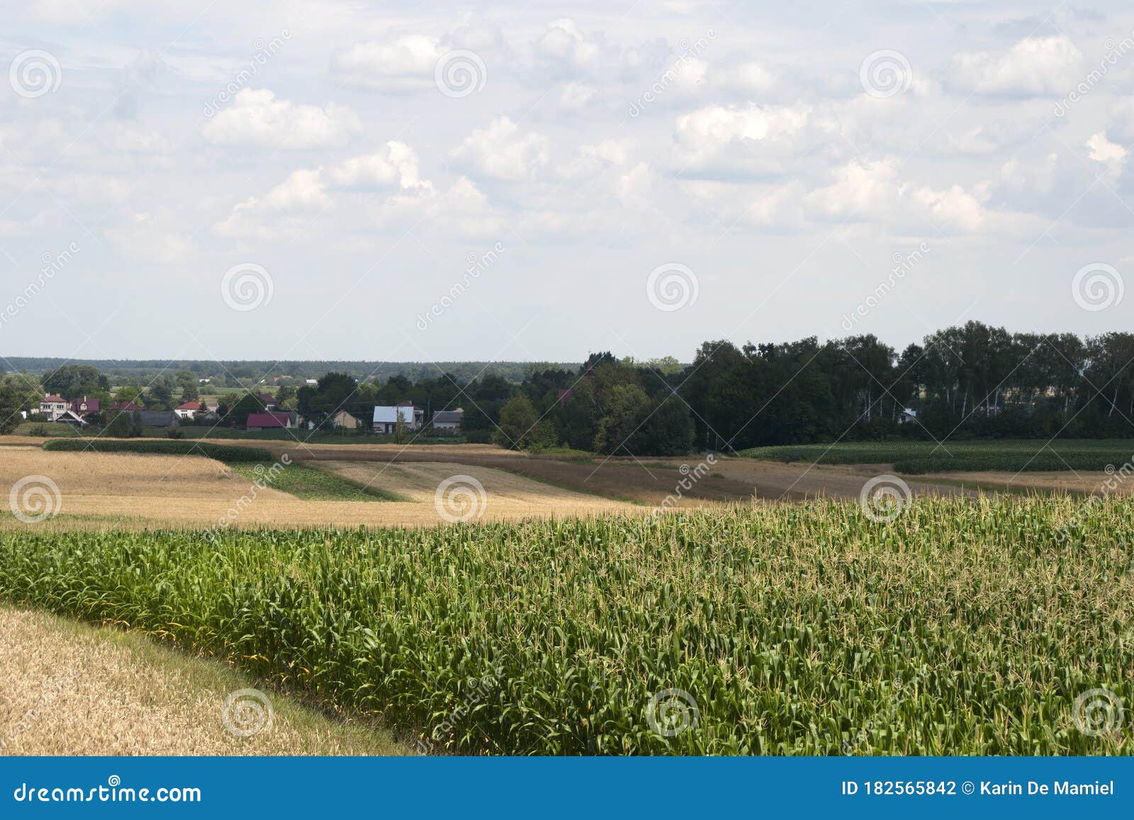 View of Fields and Farming in the Countryside Stock Photo - Image of ...