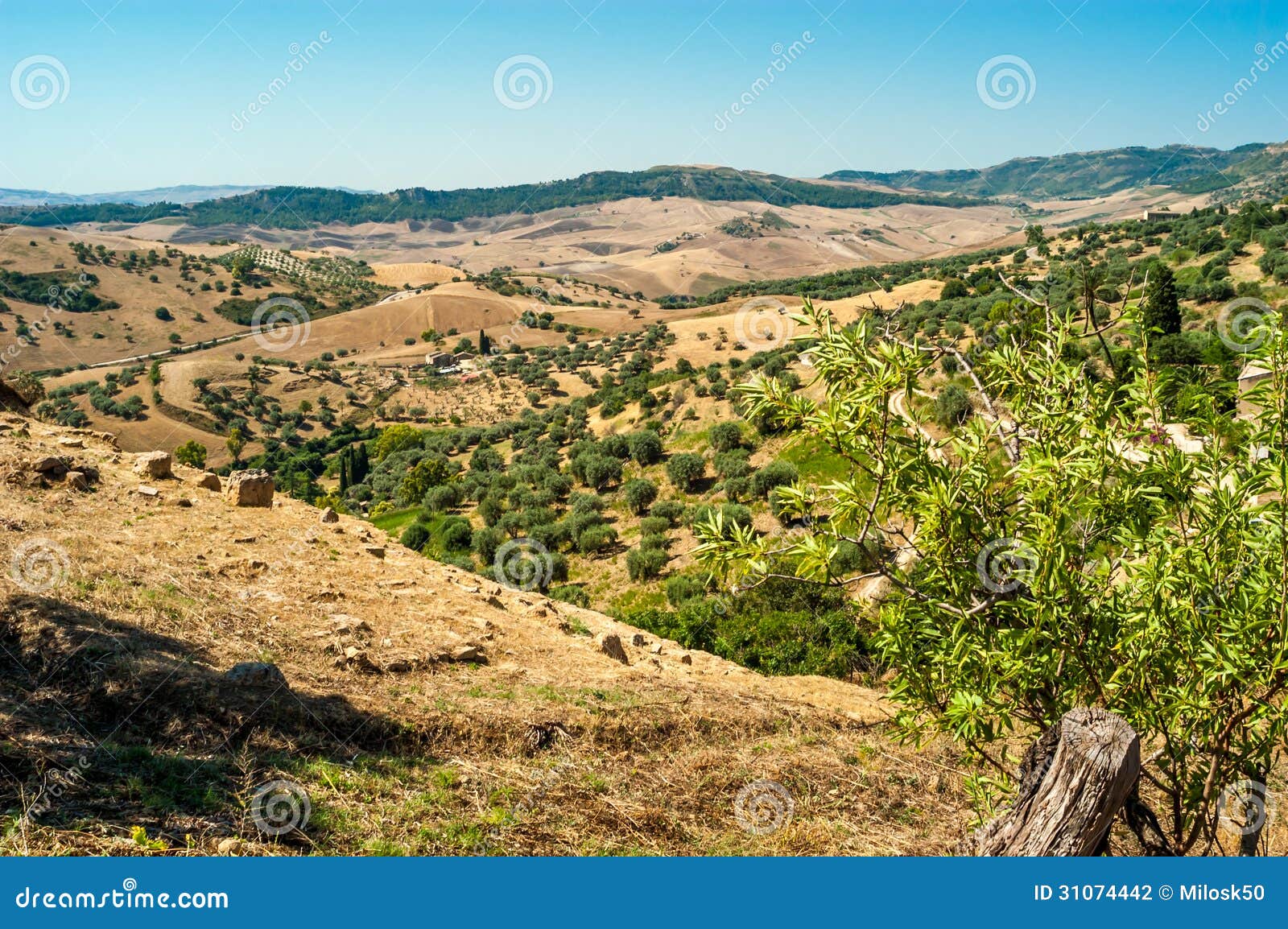 View Fields in Sicily stock photo. Image of sicily, hiking - 31074442