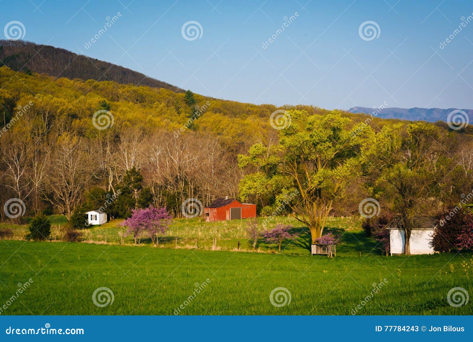 View of Fields and Spring Color in the Rural Shenandoah Valley O Stock ...