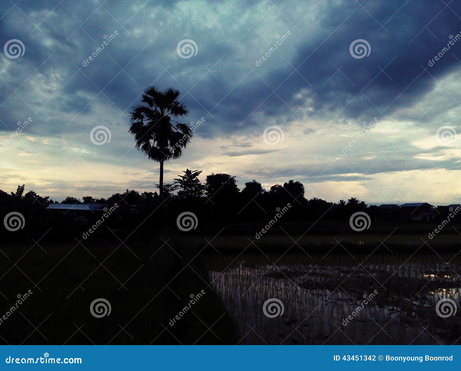 View stock photo. Image of background, indigo, clouds - 43451342