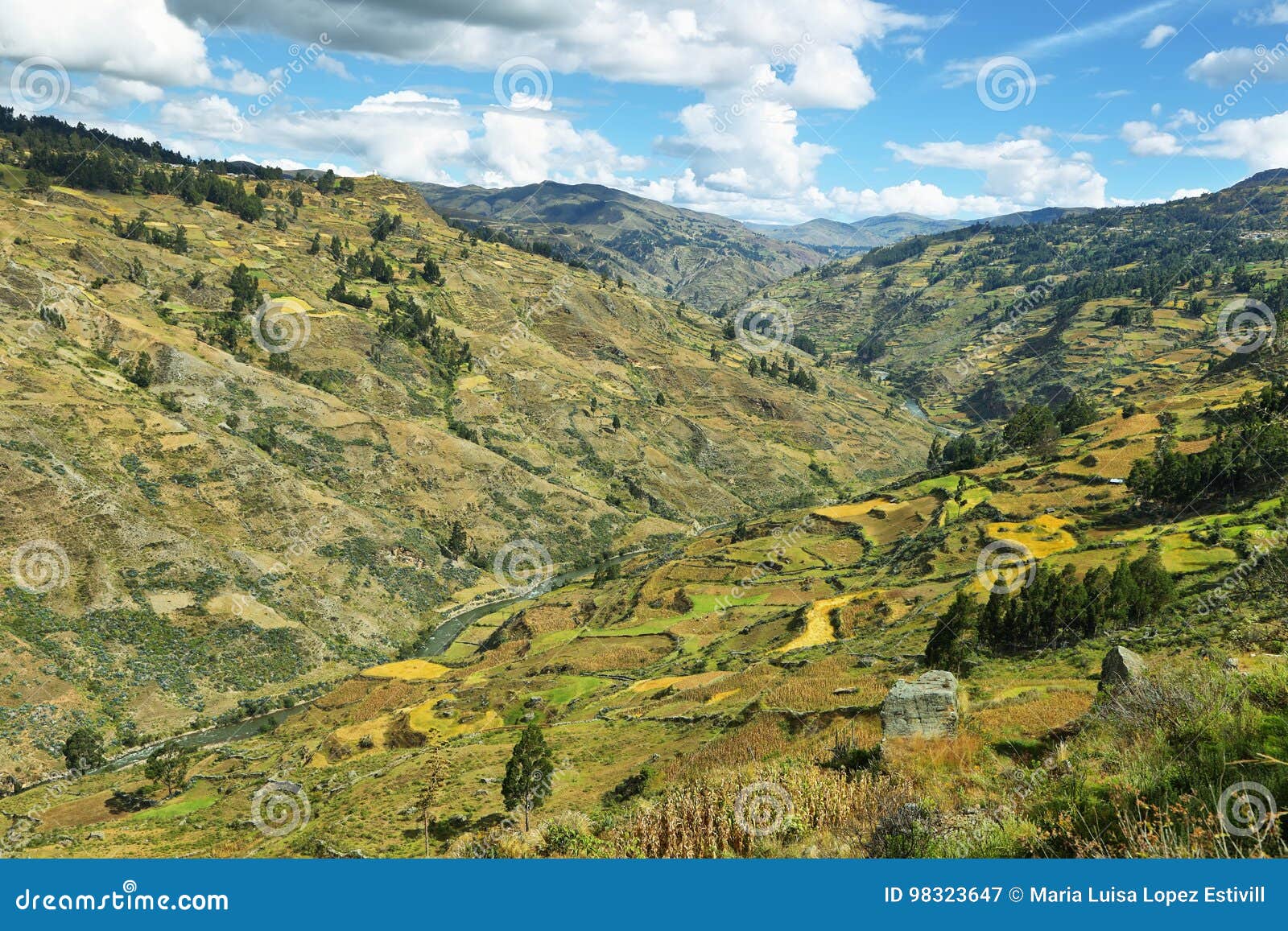 View of Fields in the Way To Huanuco, Peru Stock Image - Image of ...