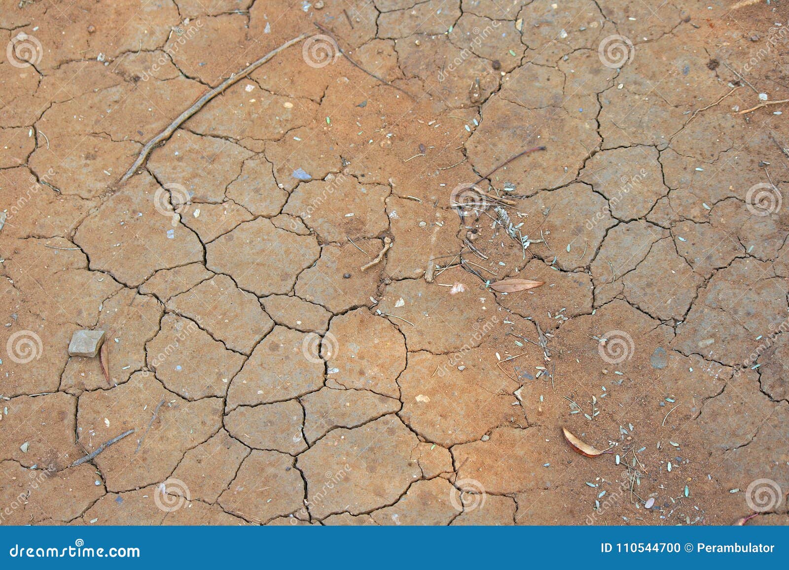 CRACKED SURFACE of DRY MUD stock photo. Image of surface - 110544700