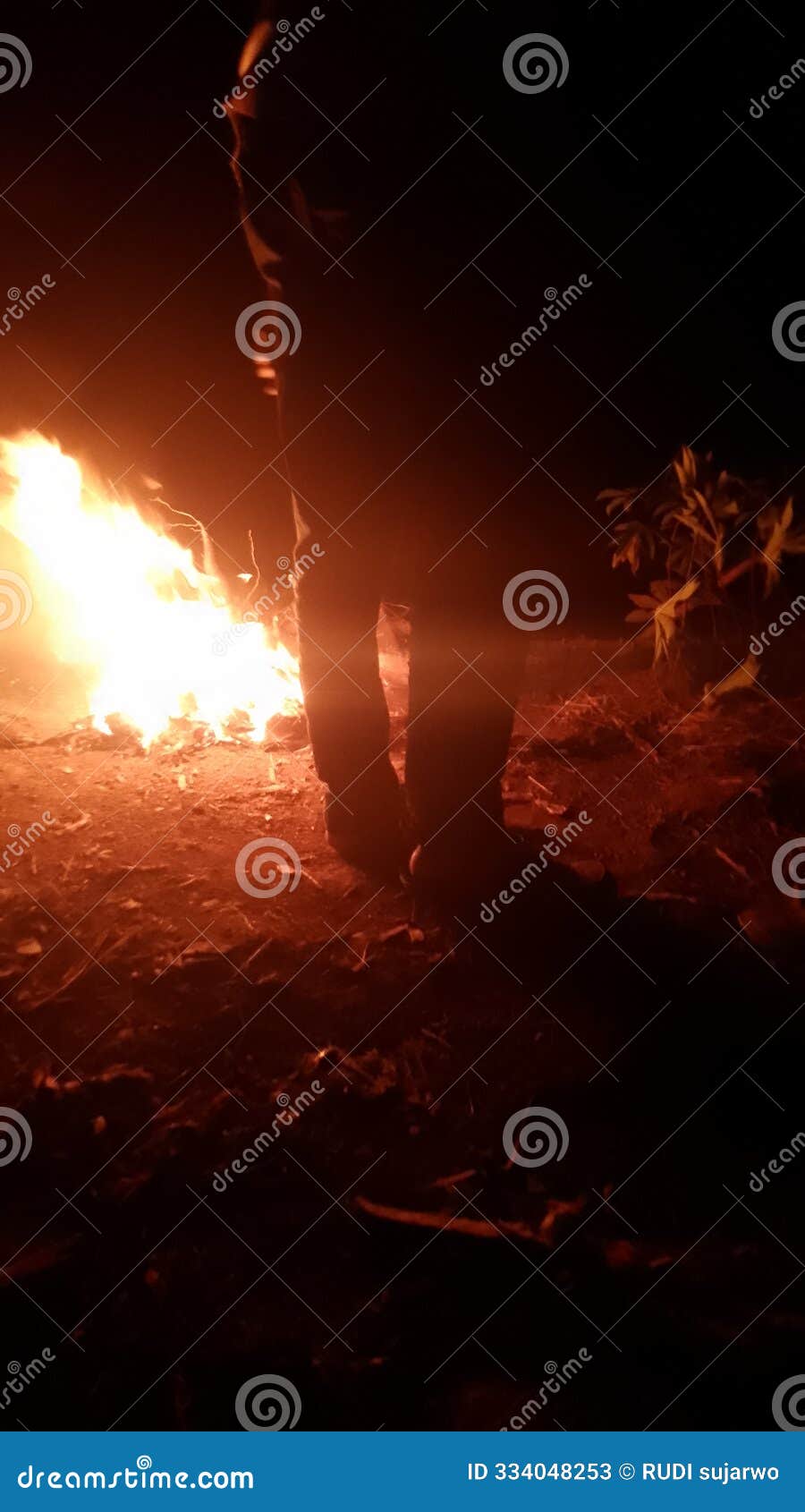 View of Fire in the Cold Night and the Wind Blowing Stock Image - Image ...