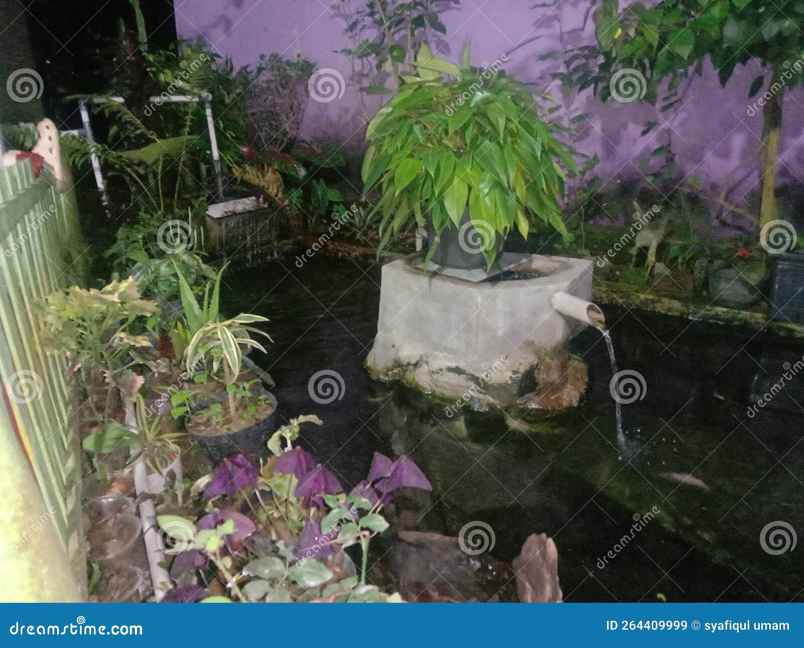 View of the Fish Pond at Night Stock Image - Image of tree, garden ...