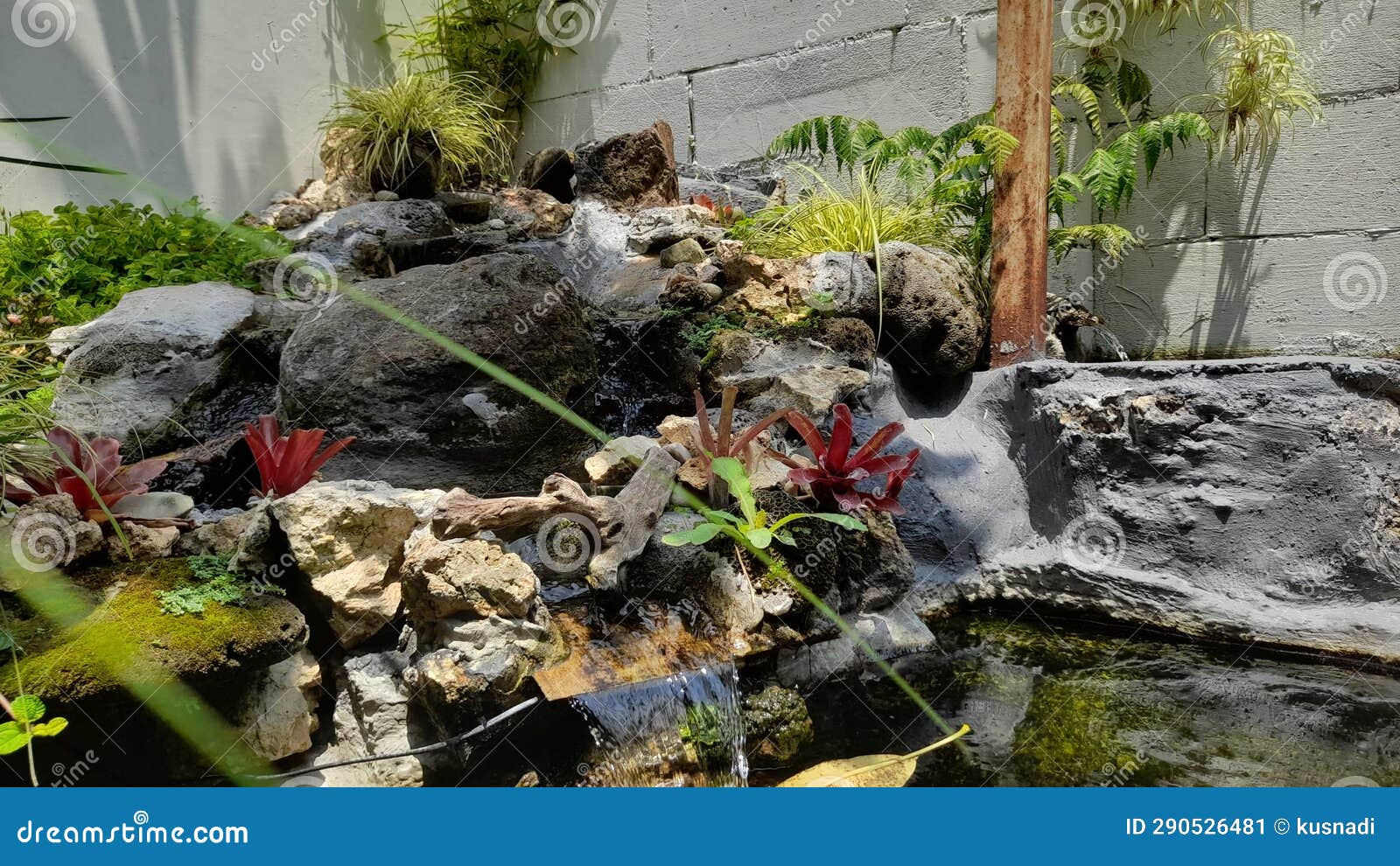 VIEW of the FISH POUNDS stock image. Image of pounds - 290526481