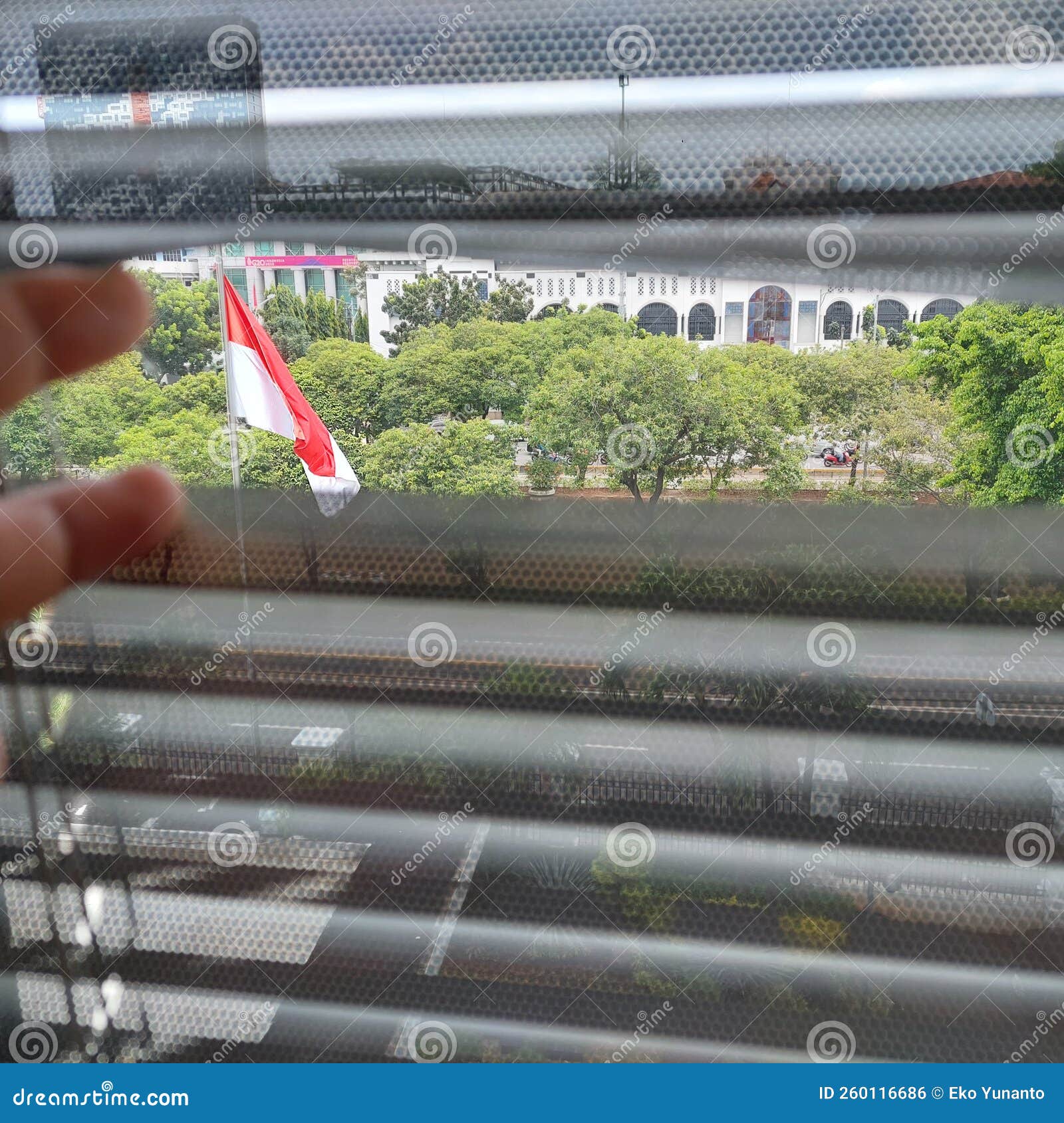 View the Flags and Tree View from the Window Trellis Stock Photo ...