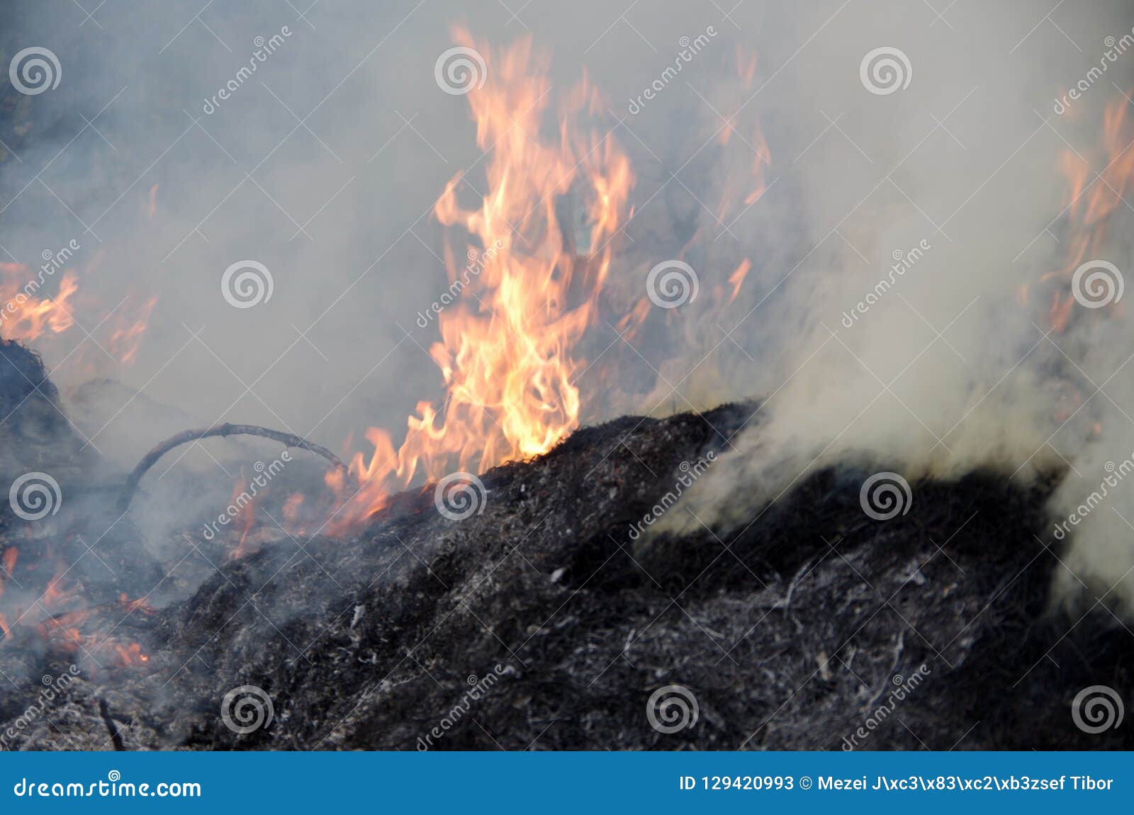 View of Flames, Smoke and Ashes. Stock Image - Image of action, shines ...