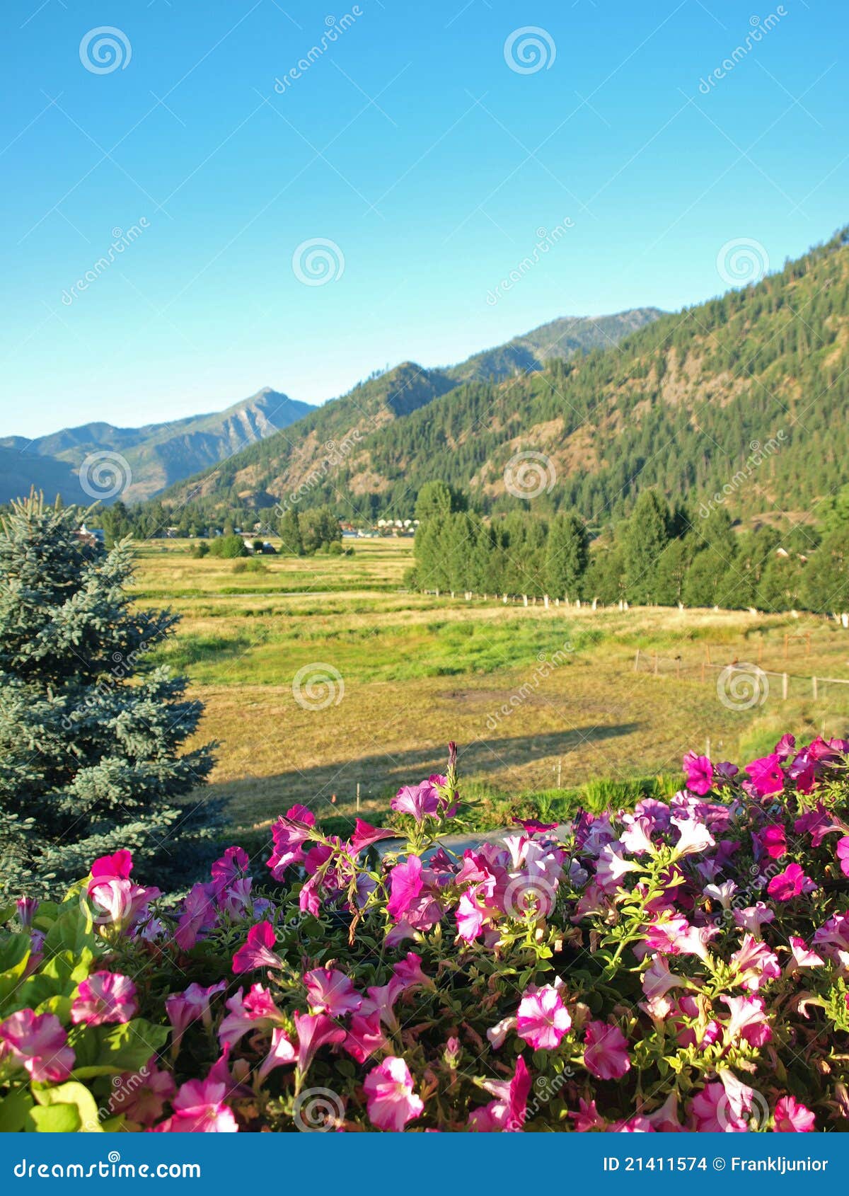 View from a Flowery Balcony Stock Photo - Image of idyllic, farm: 21411574